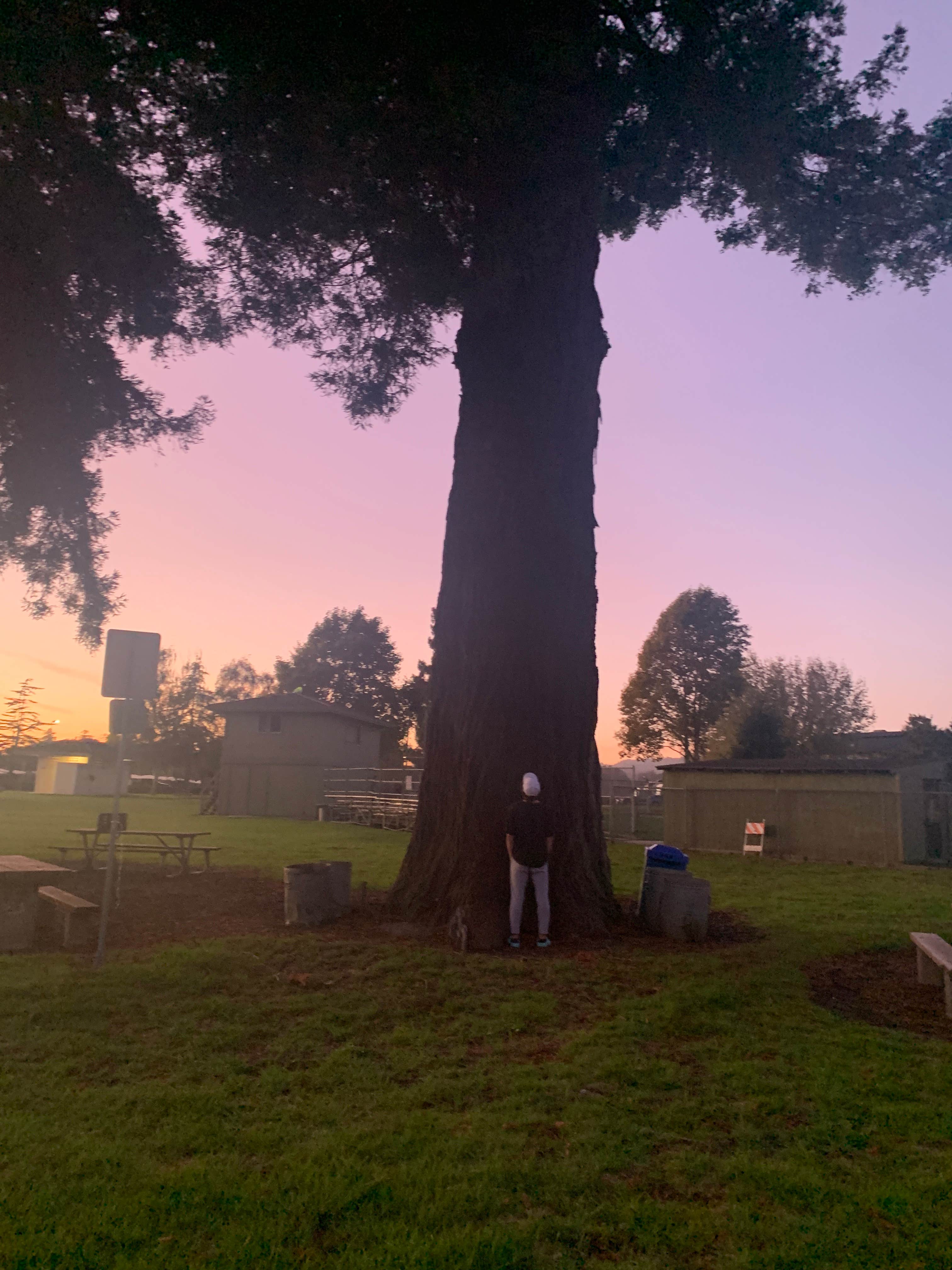 Pinto Lake City Park Camping | Watsonville, CA