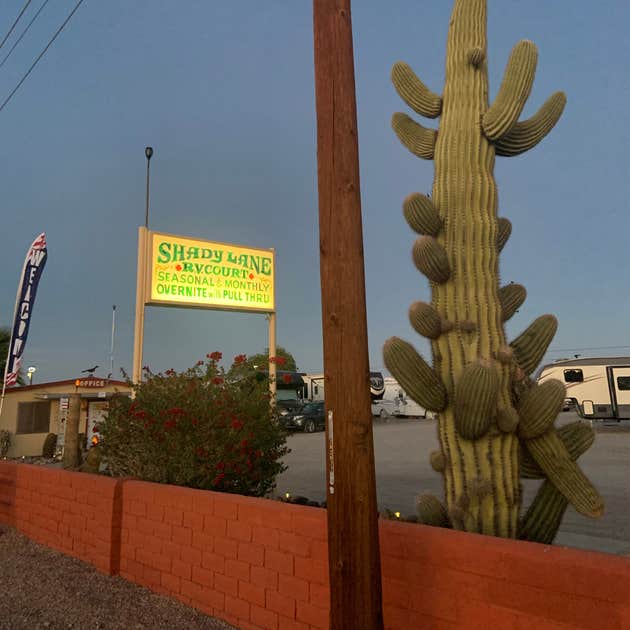 Shady Lane RV Park | Quartzsite, Arizona