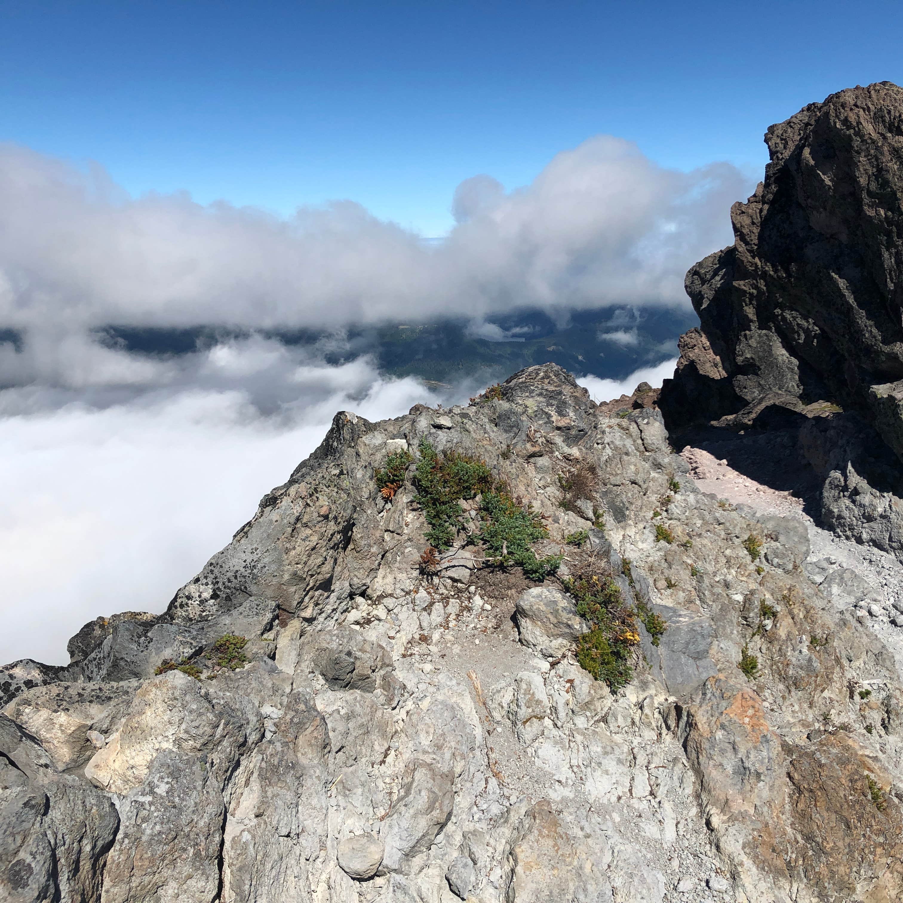 McNeil Point Dispersed Camping | Government Camp, OR