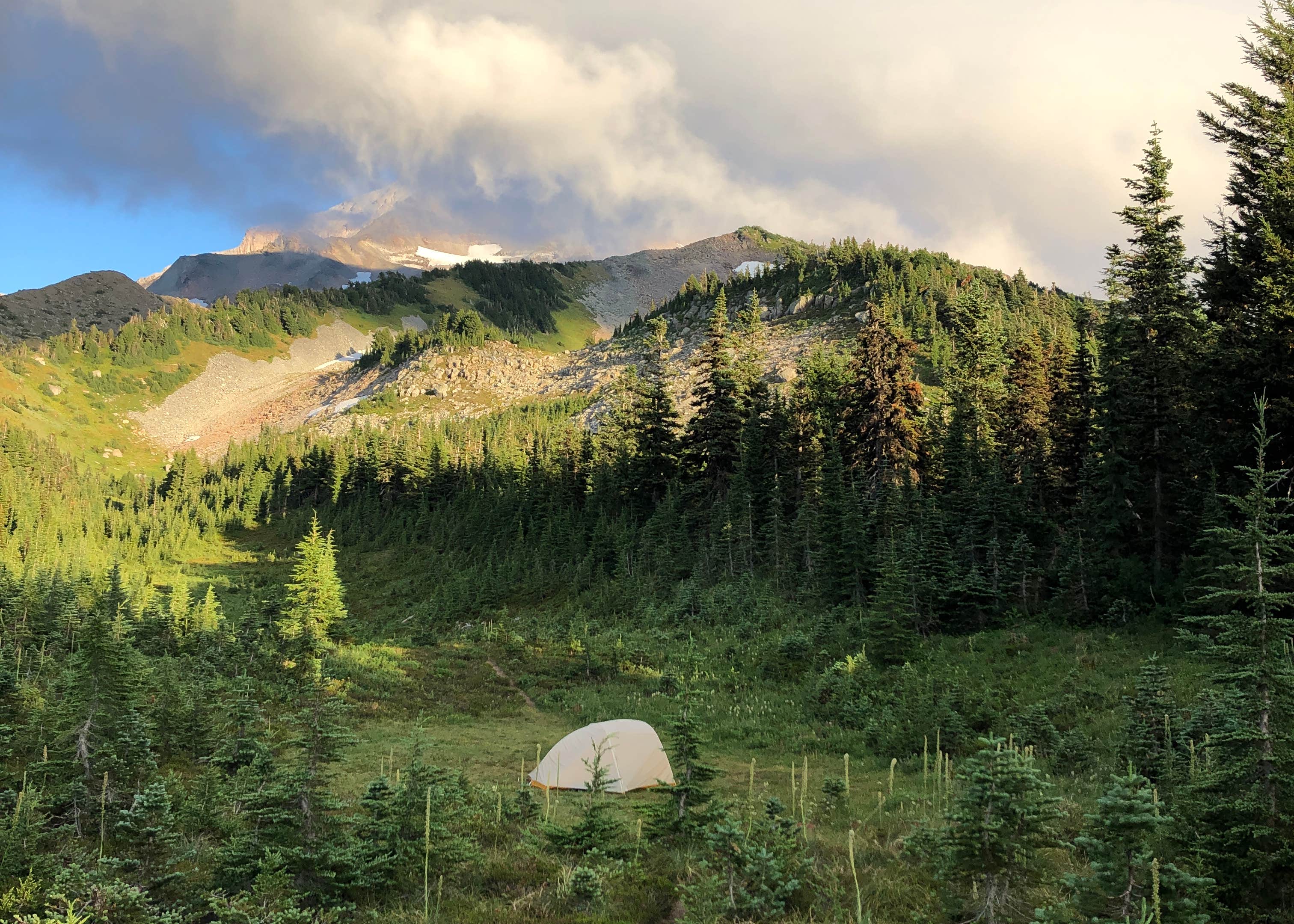 McNeil Point Dispersed Camping Camping | The Dyrt