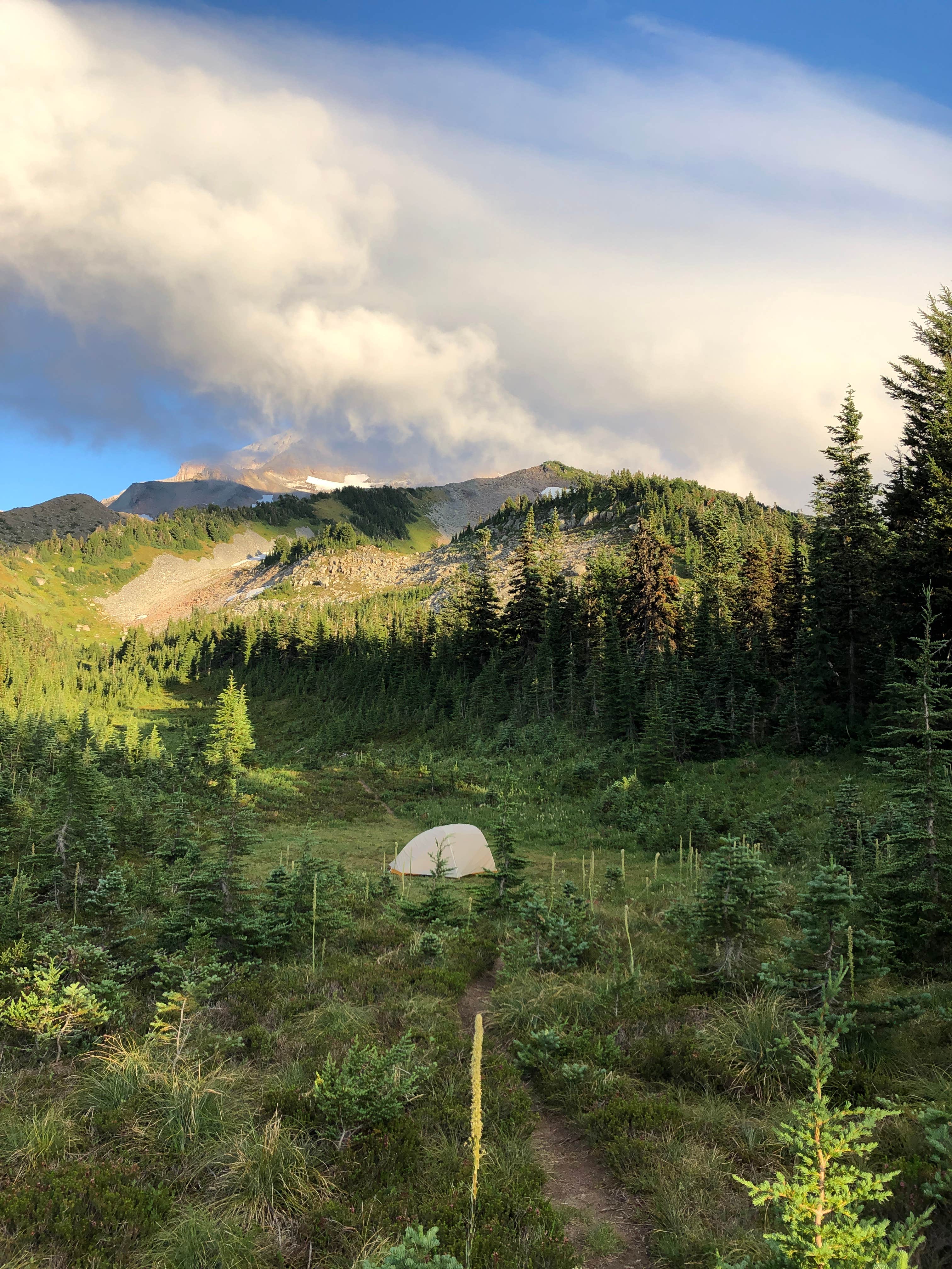 McNeil Point Dispersed Camping | Government Camp, OR