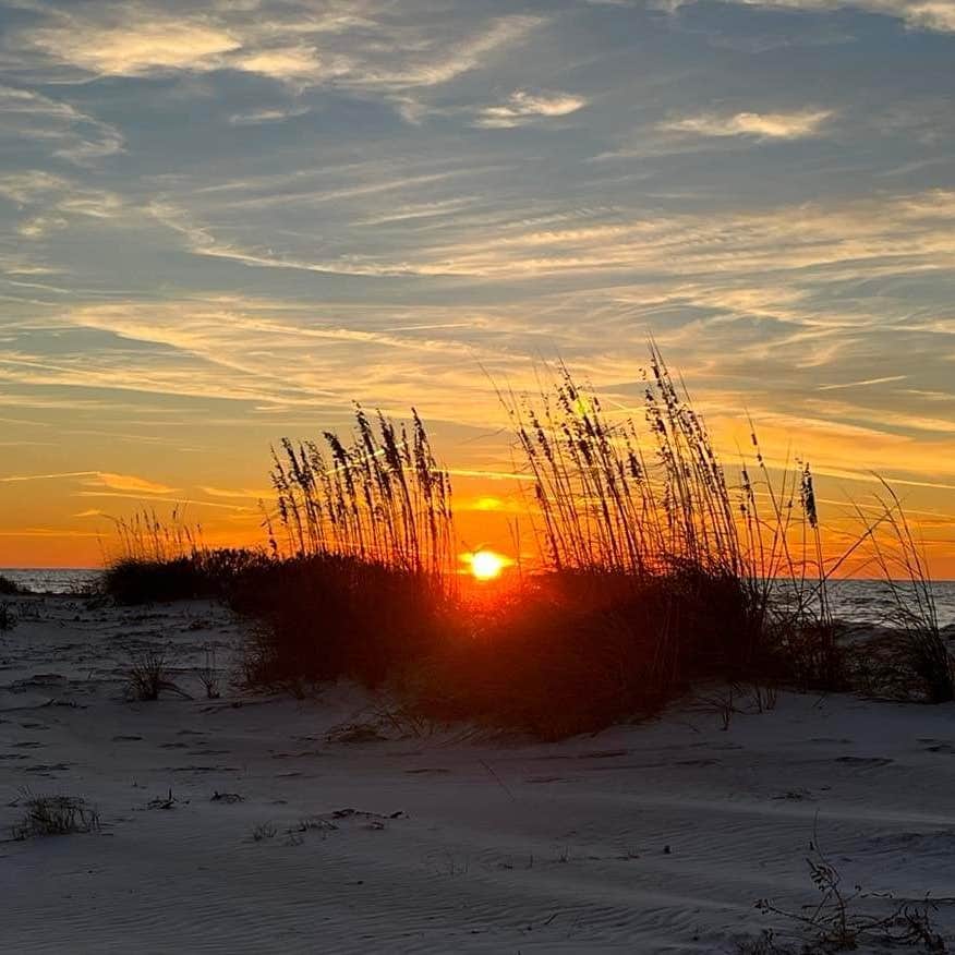 Anclote Key Preserve State Park Campground | Holiday, Florida
