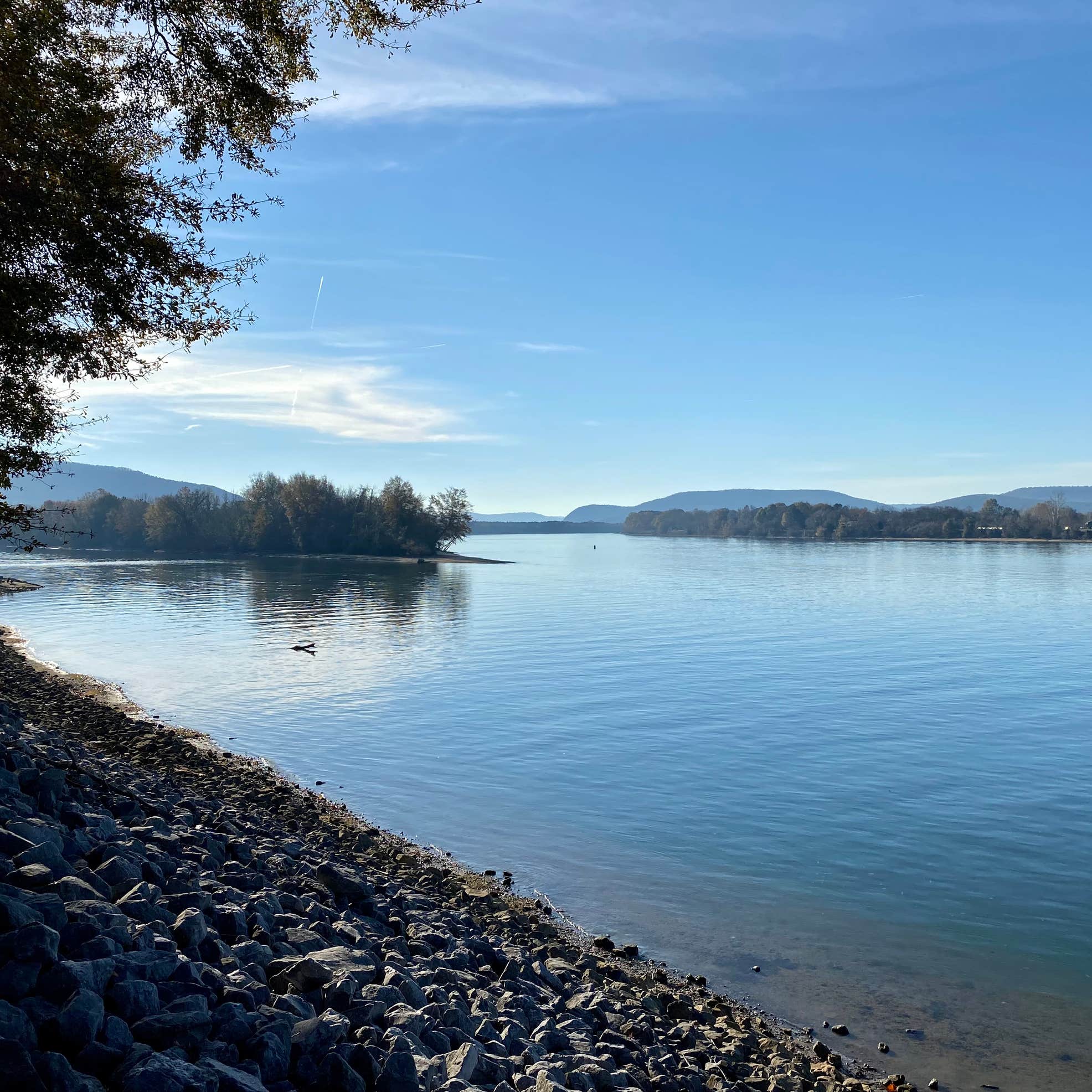 Ditto Landing City Campground Camping | The Dyrt