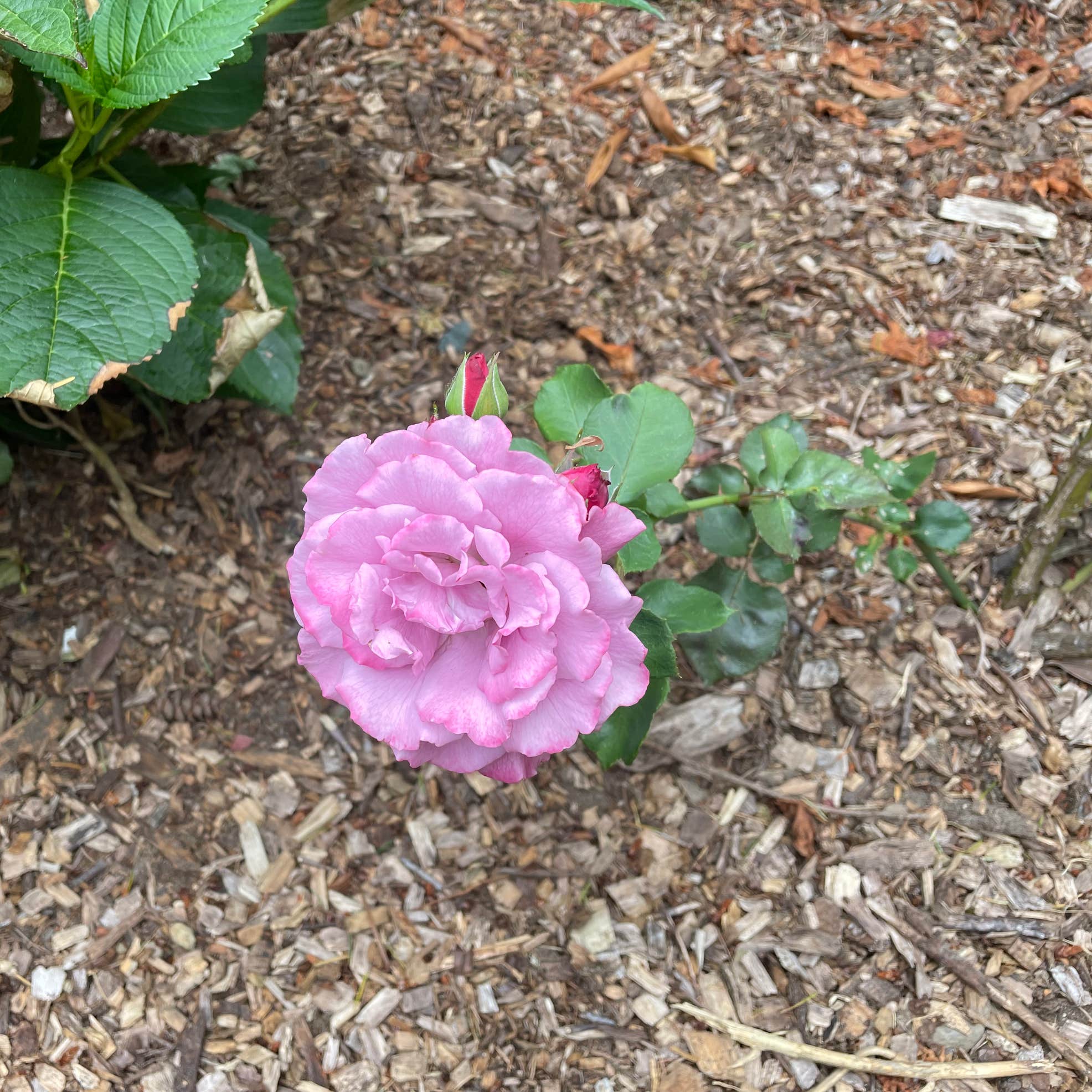 Sun Outdoors Gig Harbor Camping | Gig Harbor, Washington