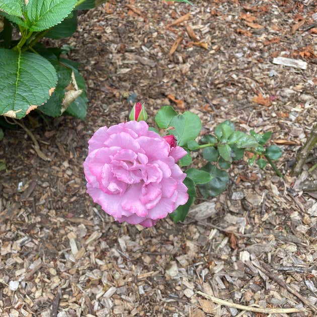 Sun Outdoors Gig Harbor Camping | Gig Harbor, Washington