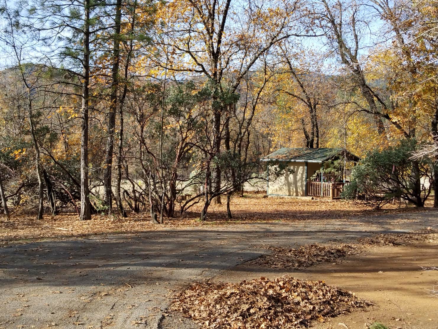 Lakehead Campground & RV Park | Lakehead, CA