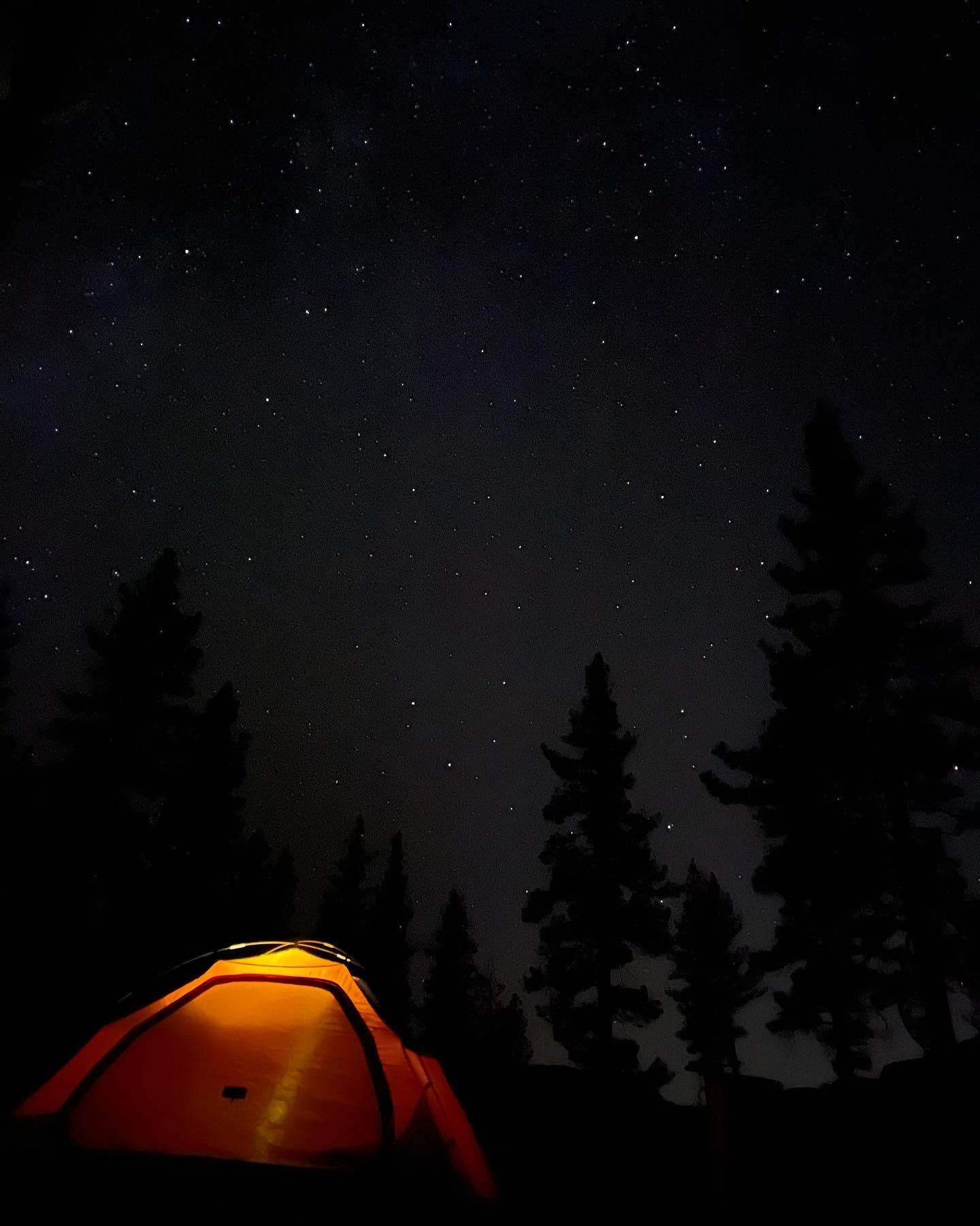 Halfmoon Campground | Frazier Park, CA