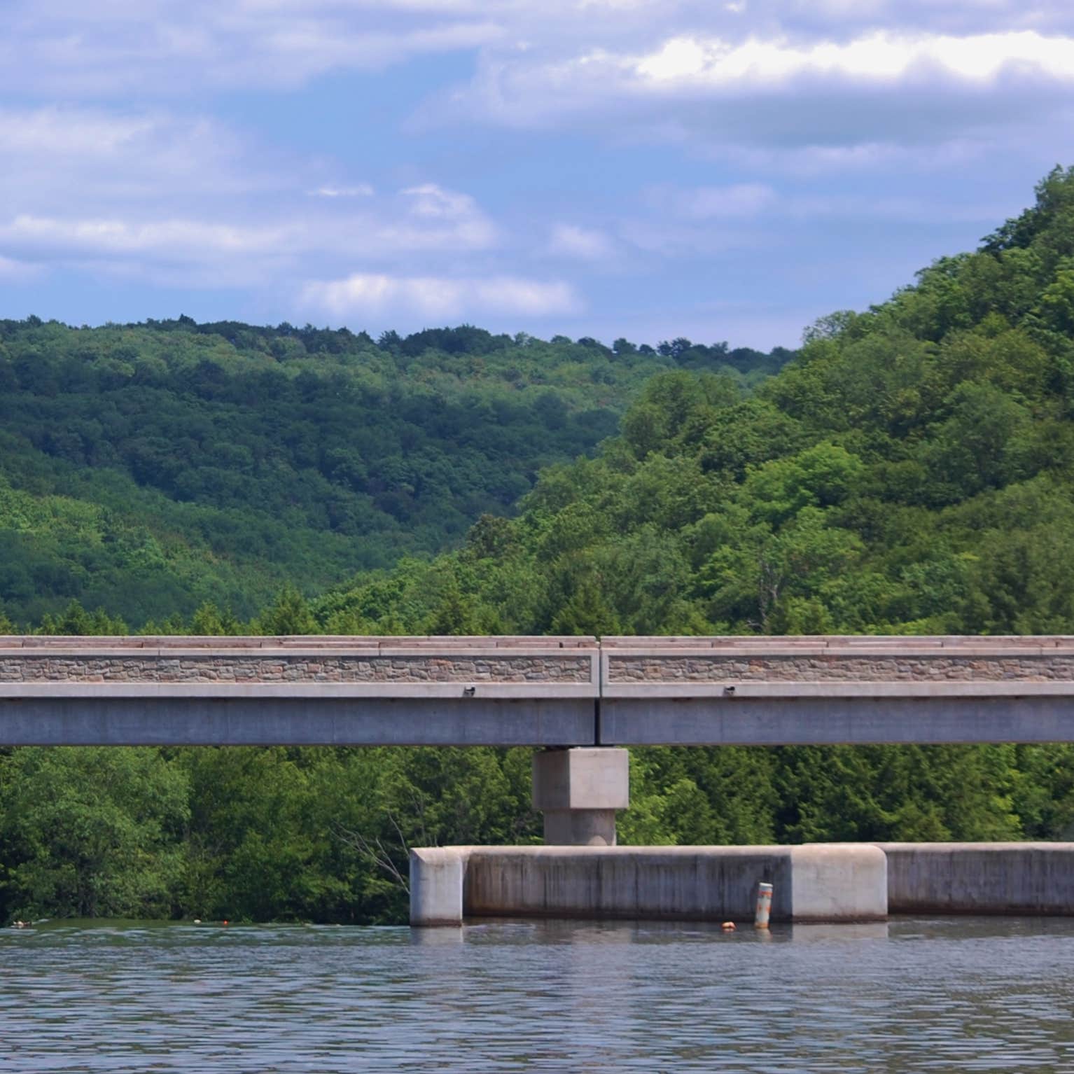 Lyman Run State Park Camping | The Dyrt