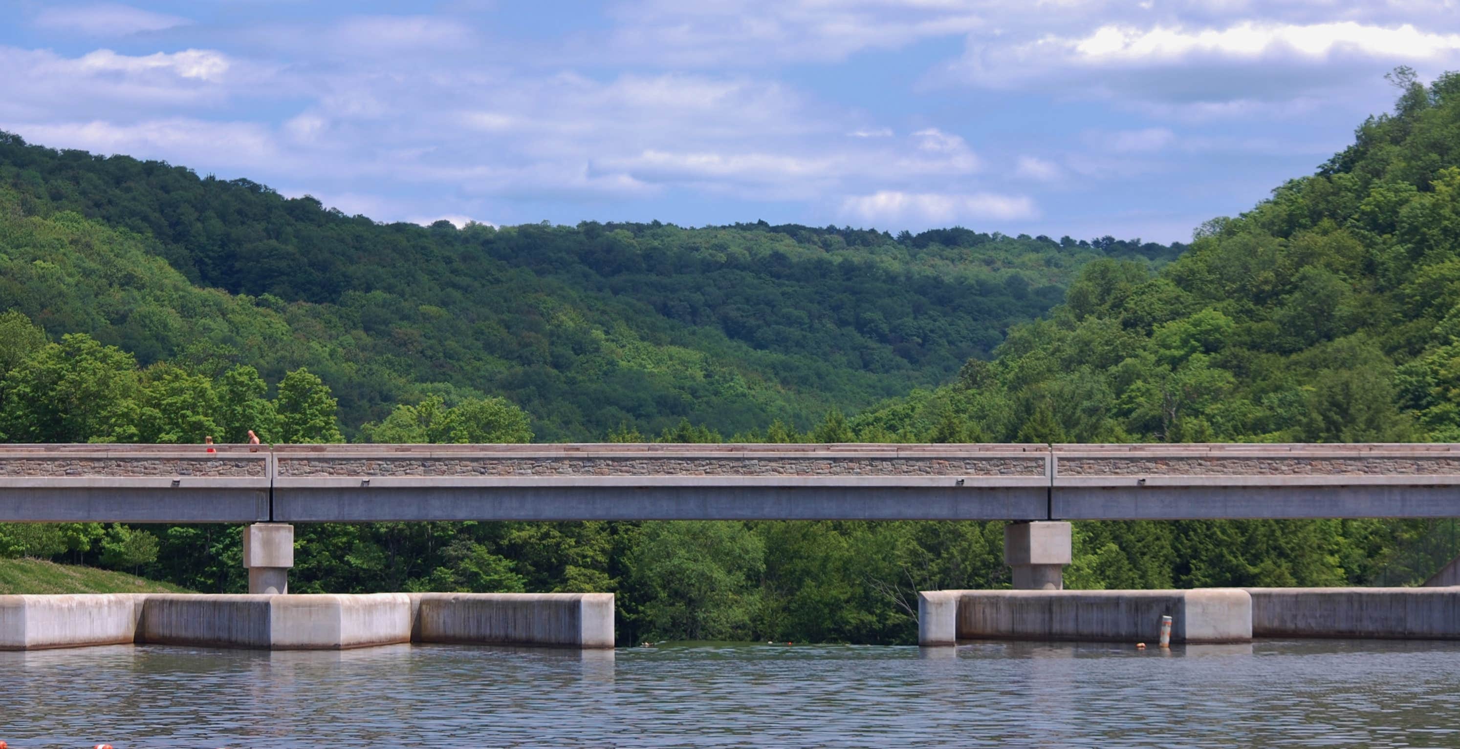 Lyman Run State Park Camping | The Dyrt