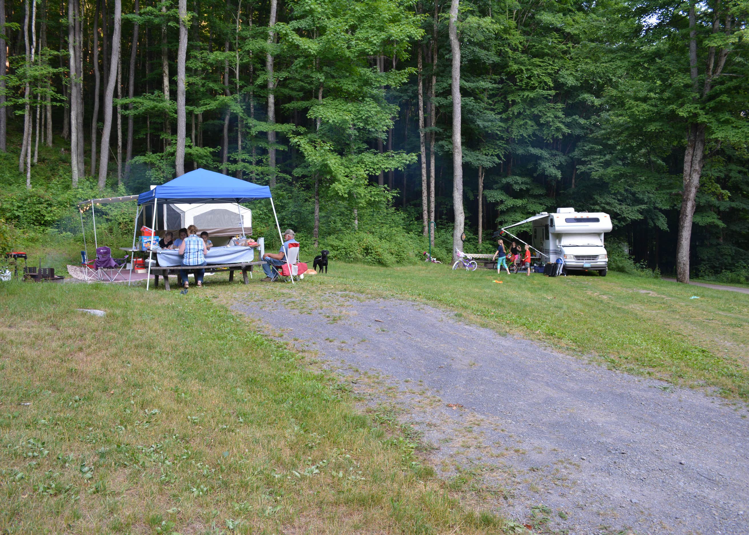 Lyman Run State Park Camping | The Dyrt