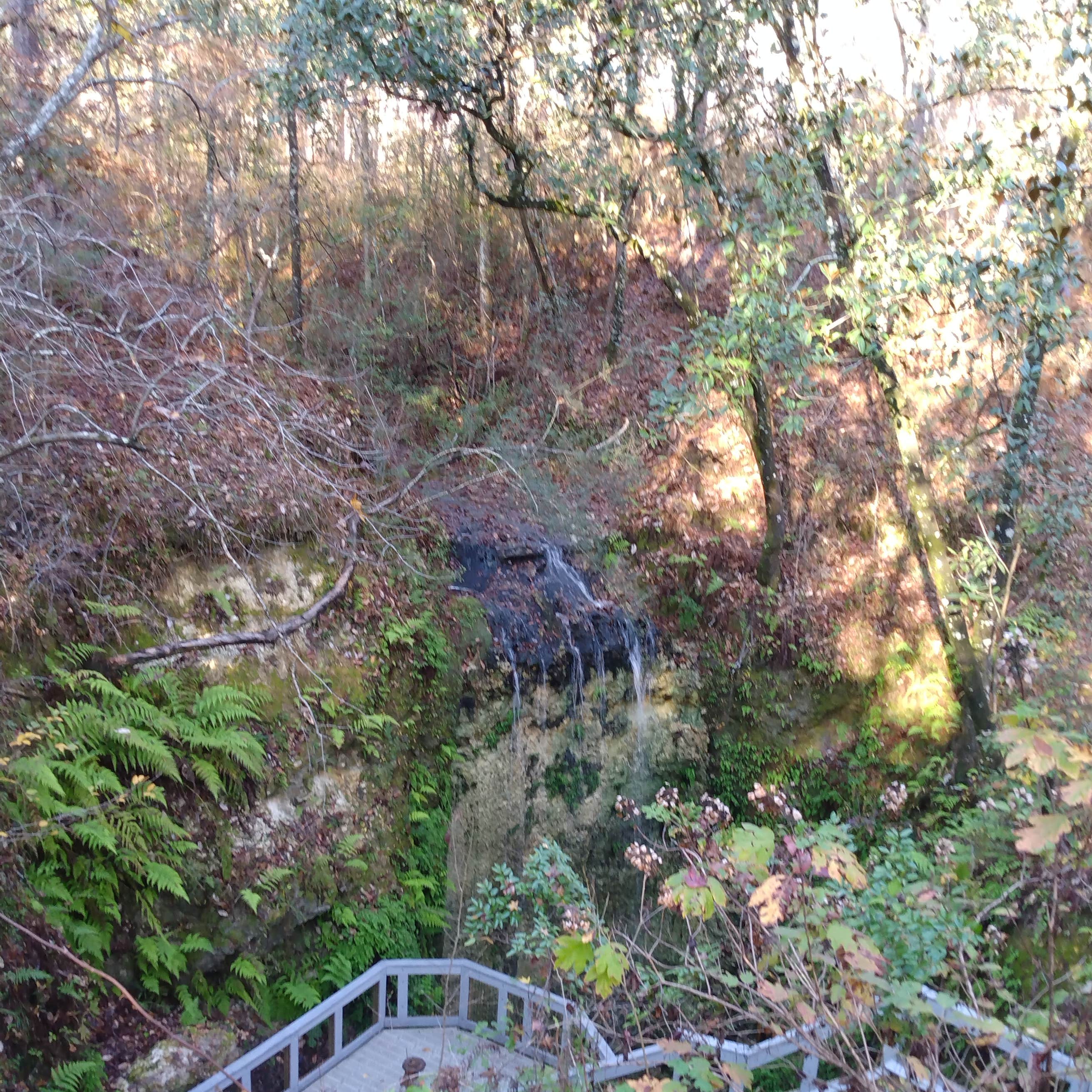 Falling Waters State Park Campground | Chipley, Florida