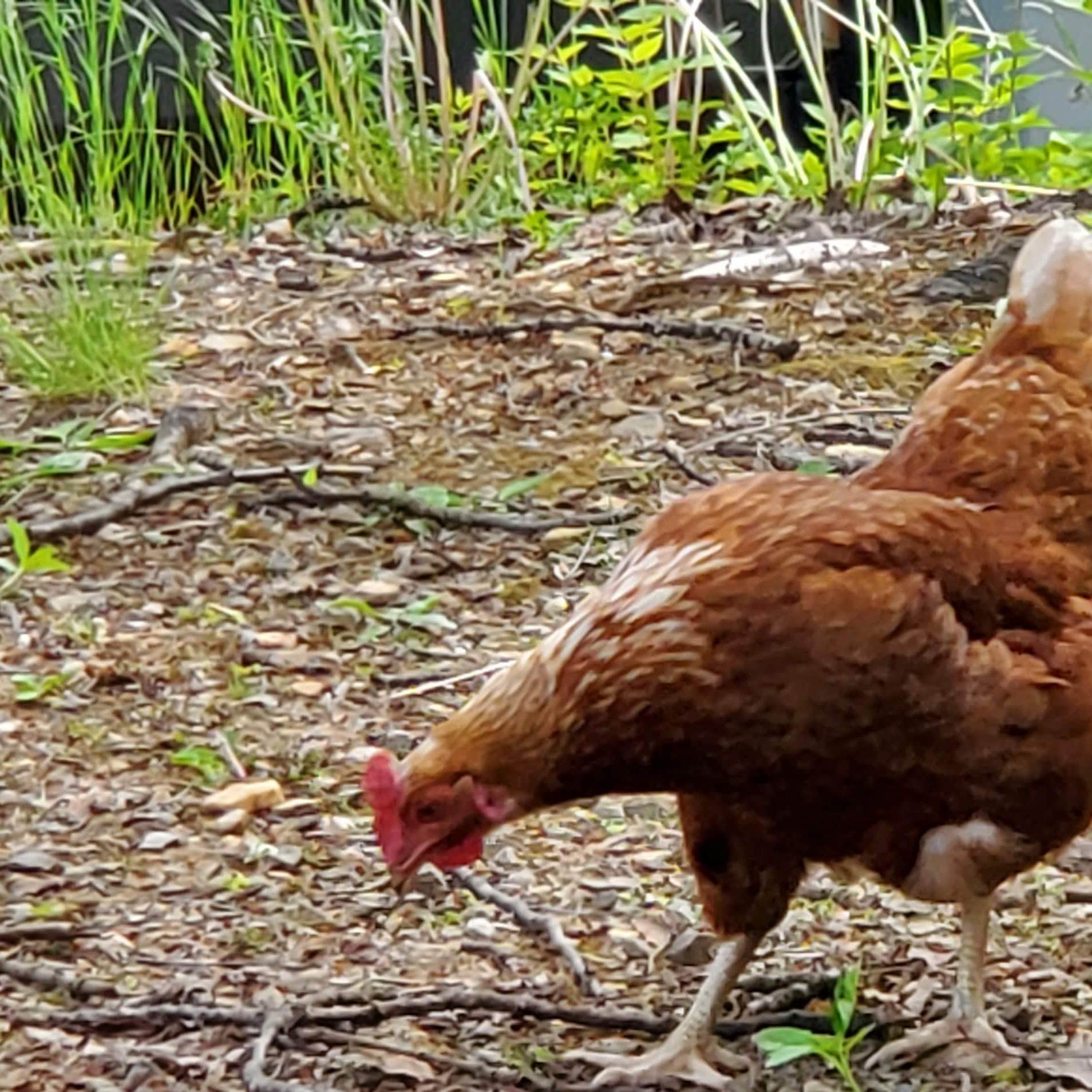 Spring Gulch Resort Campground | Narvon, Pennsylvania