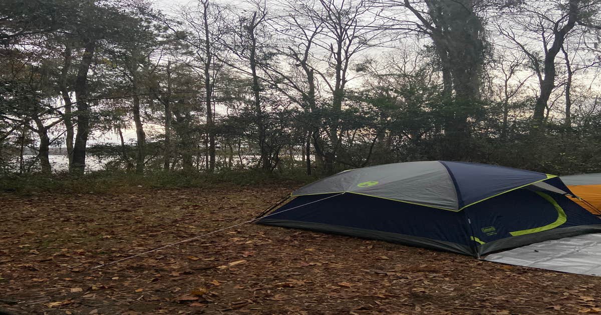 High Bluff Campground — Joe Budd WMA and Lake Talquin State Forest ...