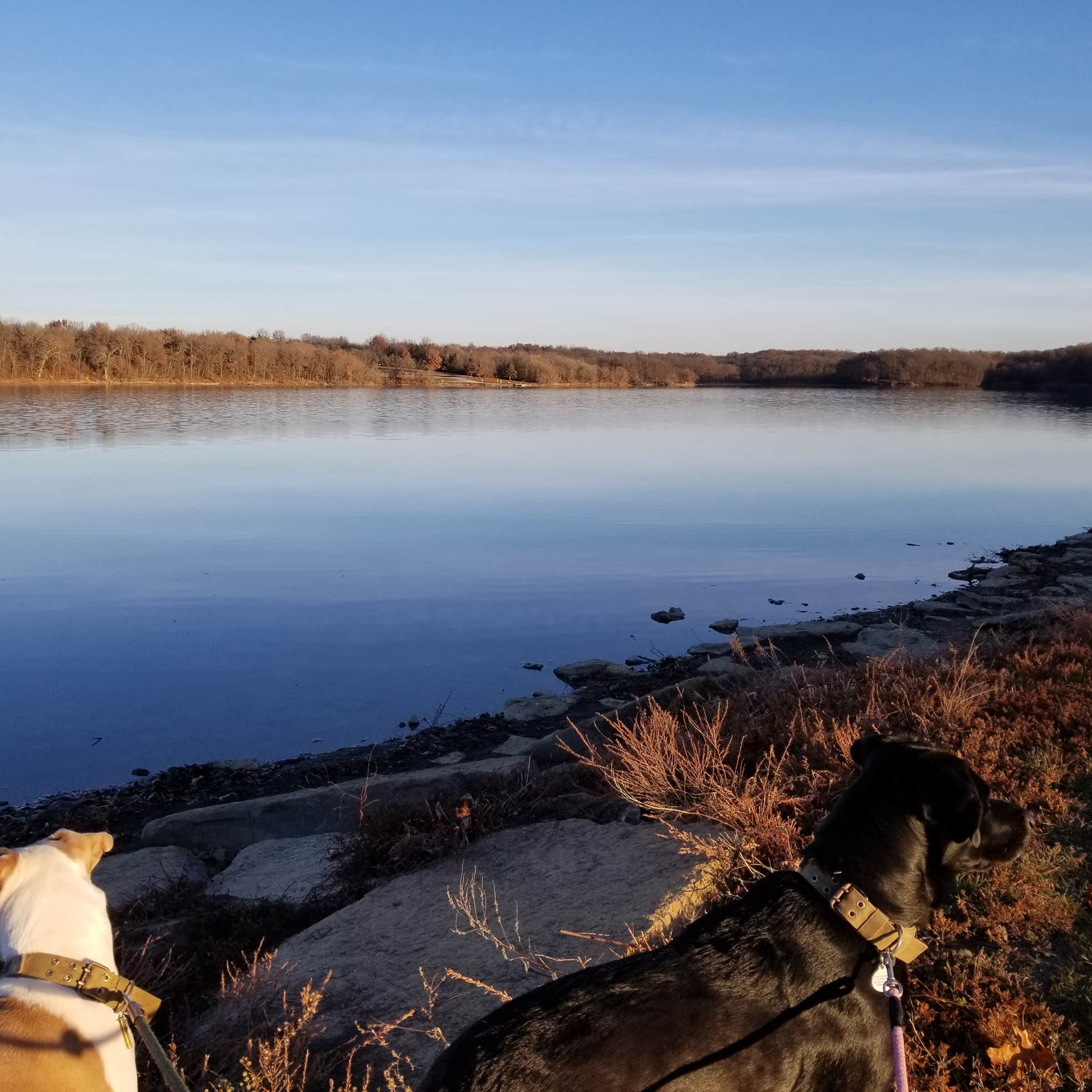 Watkins Mill State Park Campground | Excelsior Springs, Missouri