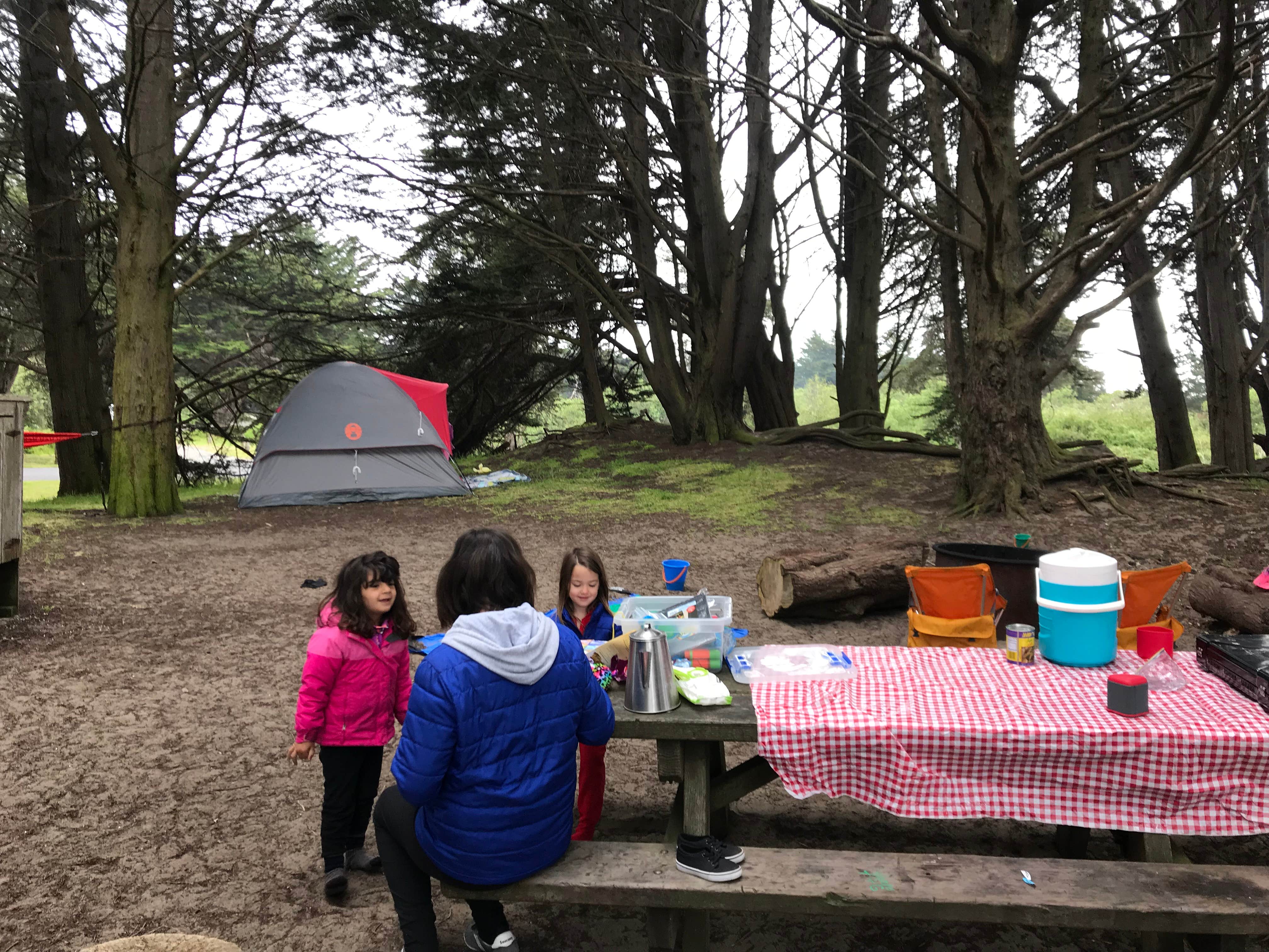 Bodega Dunes Campground — Sonoma Coast State Park | Bodega Bay, California