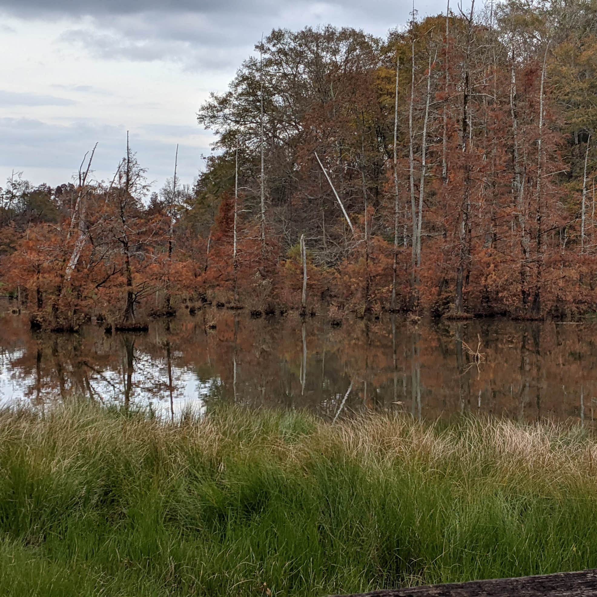 Dewayne Hayes Camping | Columbus, MS
