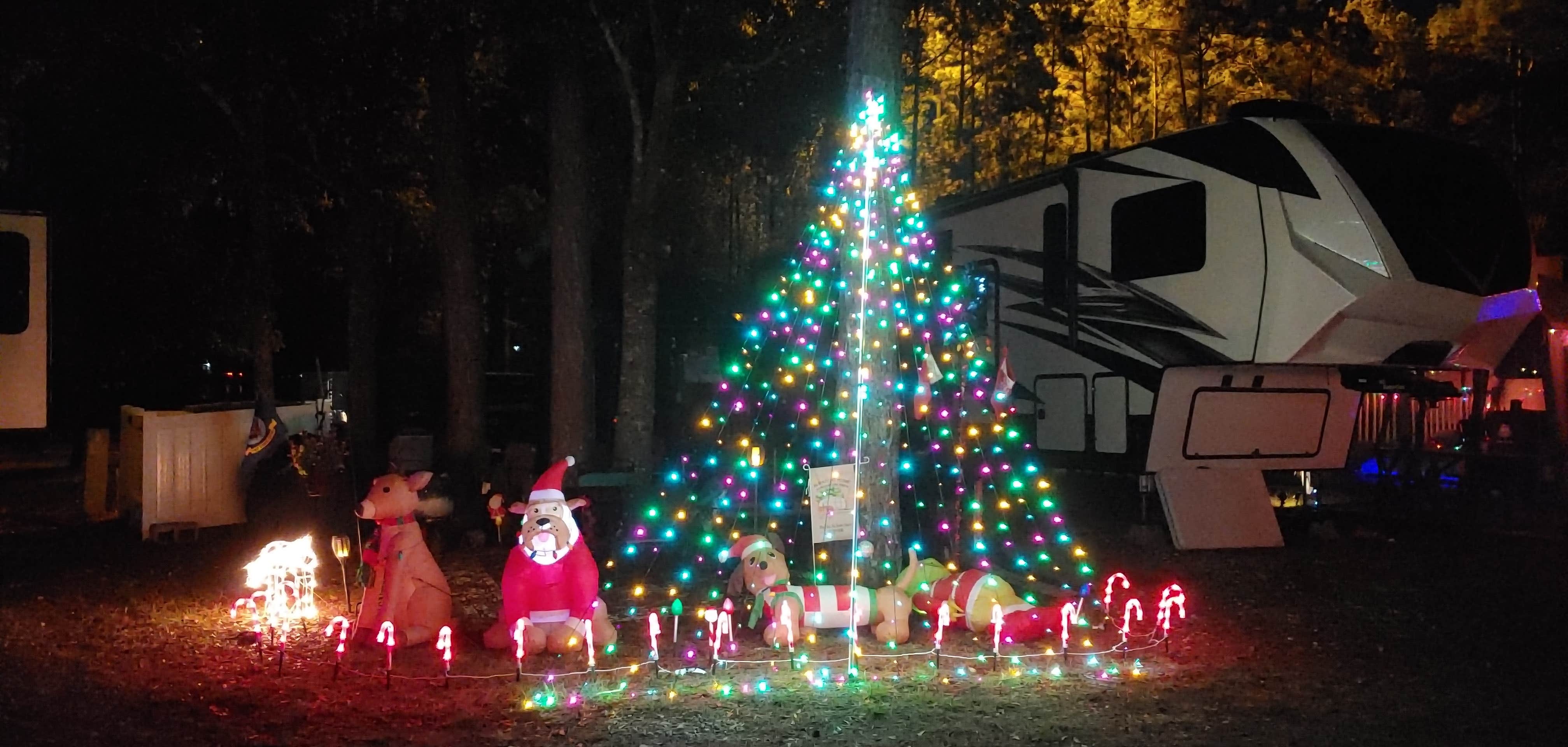 Flamingo Lake RV Resort Camping | The Dyrt