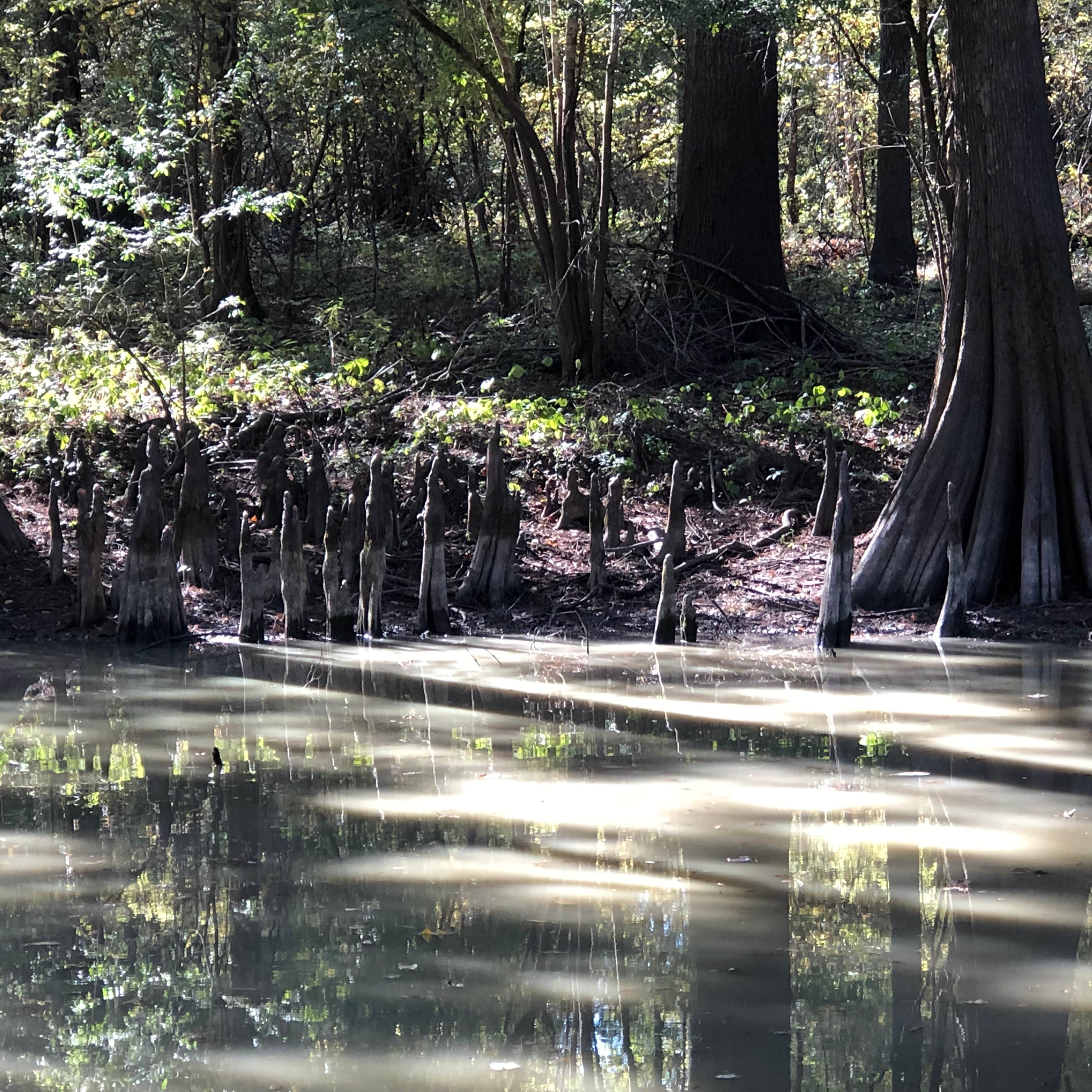Fish Lake Campground Camping | The Dyrt