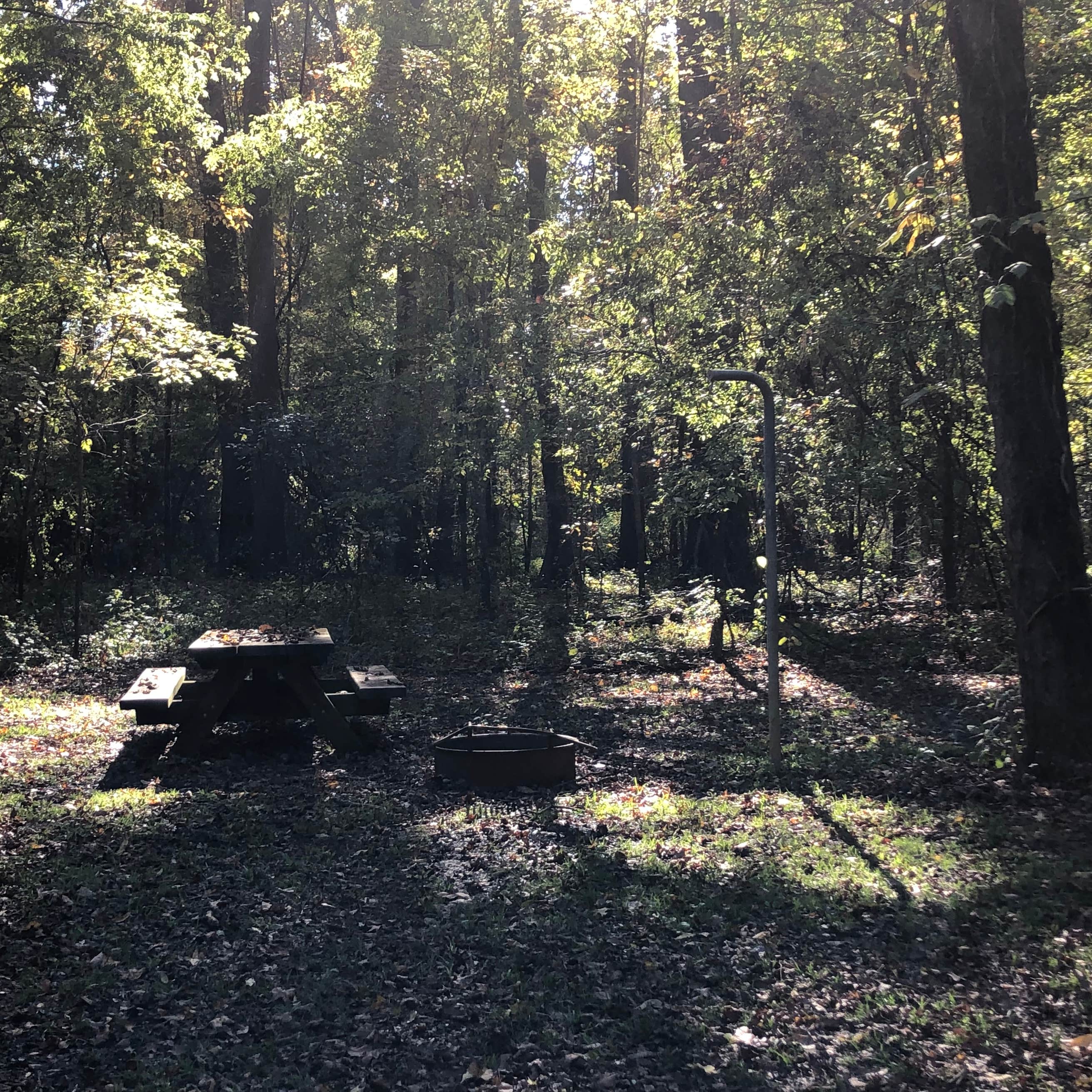 Fish Lake Campground Camping | The Dyrt