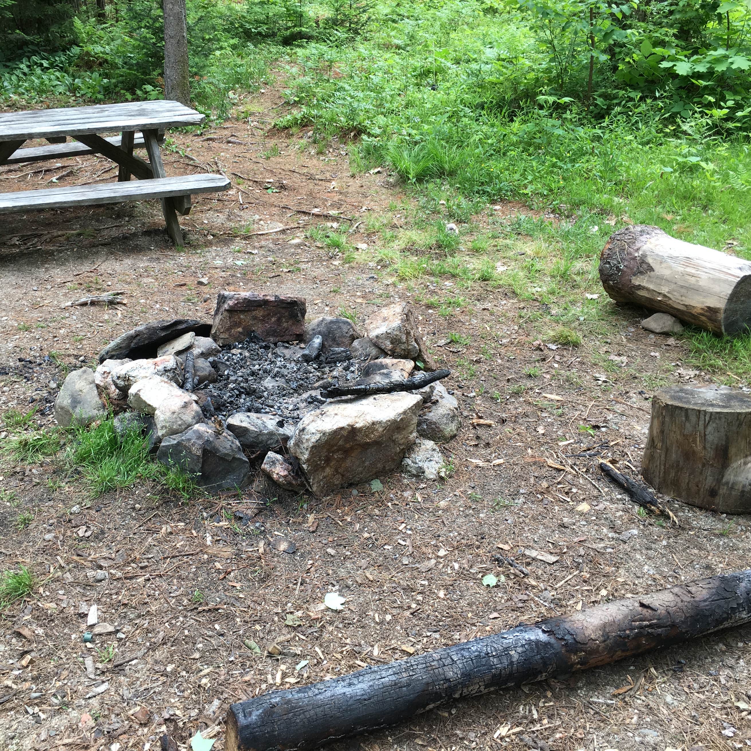 Wolfe's Neck Oceanfront Campground | South Freeport, Maine