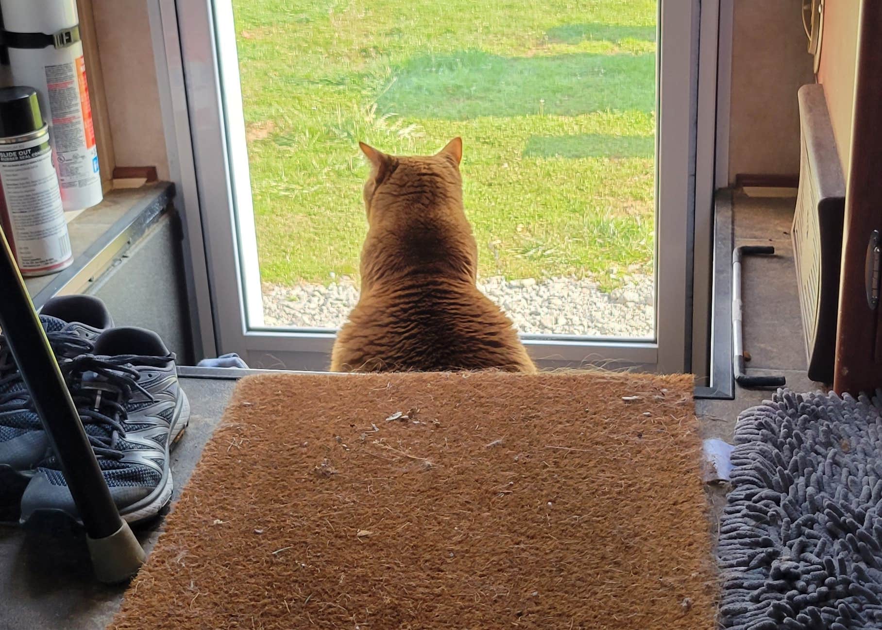 Chestnut Ridge Park and Campground Camping | The Dyrt