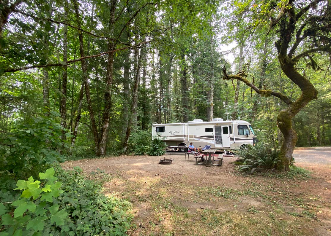 Cowlitz Falls Campground Camping | The Dyrt