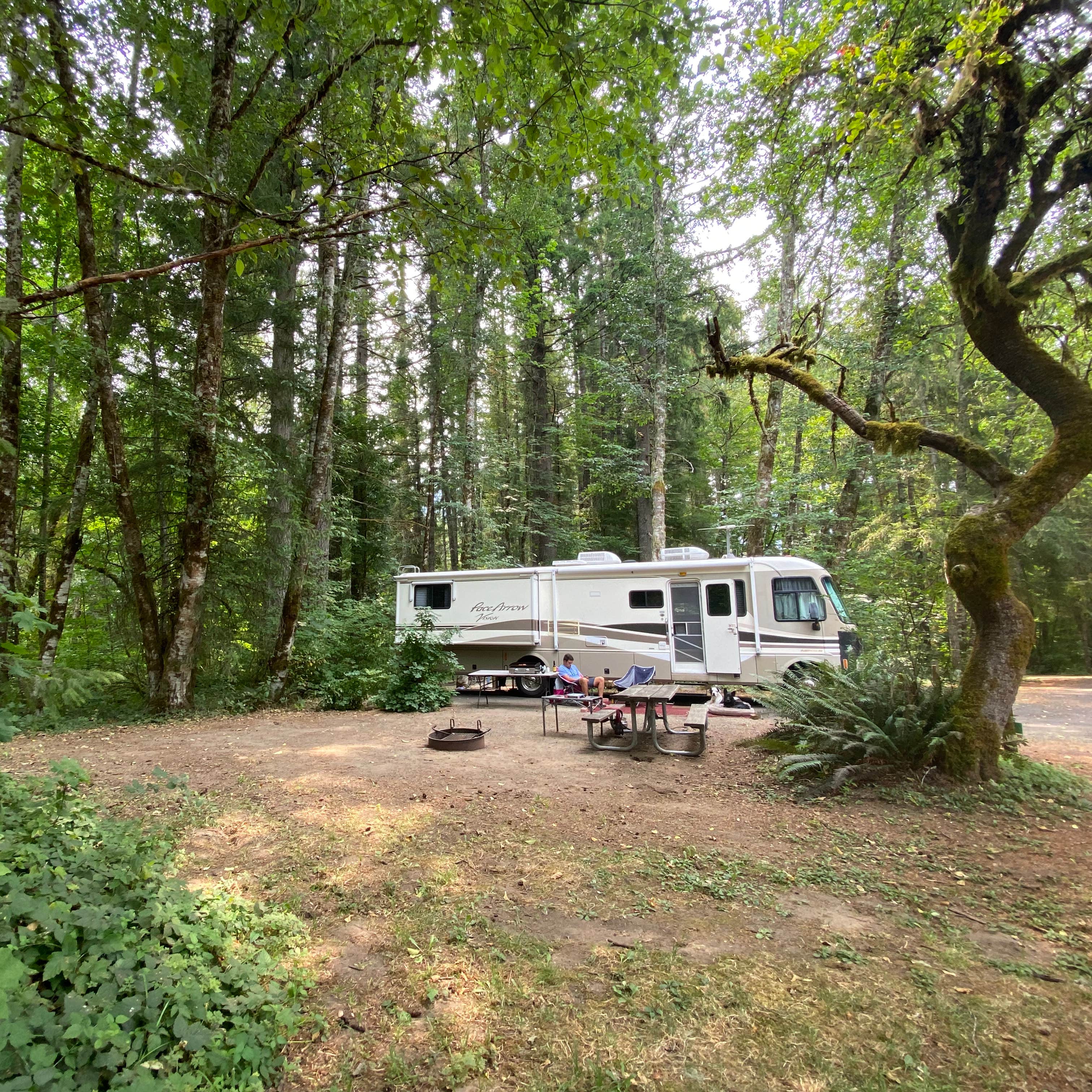 Cowlitz Falls Campground | Randle, Washington