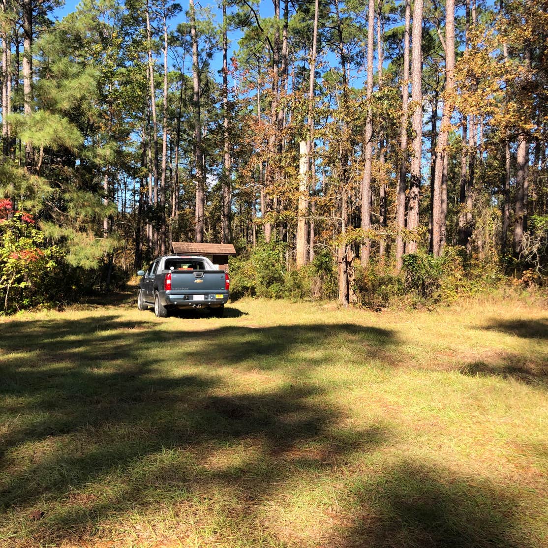 Valentine Lake Wild Azalea Trail Camping | Gardner, Louisiana
