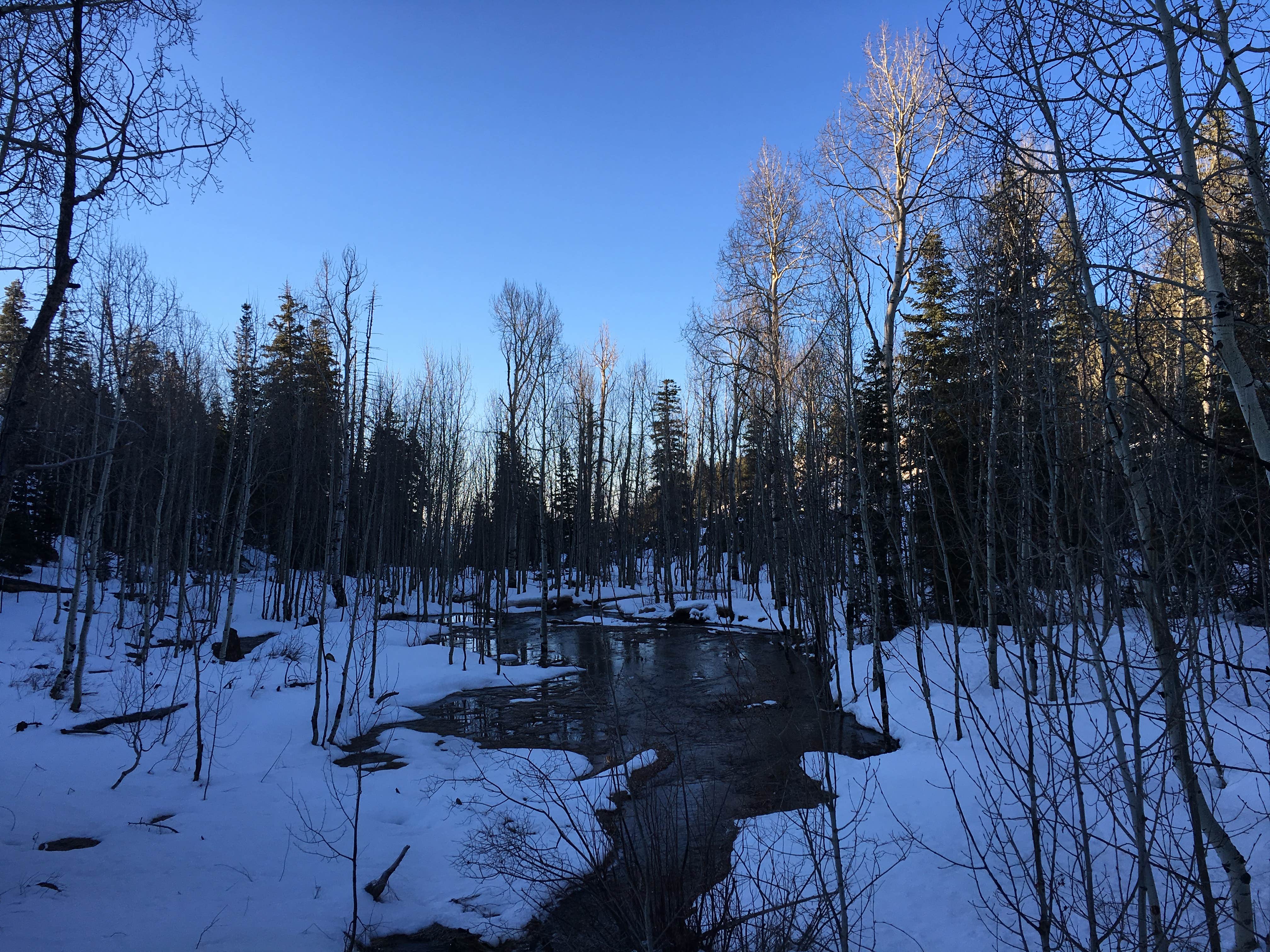 Lava Point Campground — Zion National Park | Kanarraville, Utah