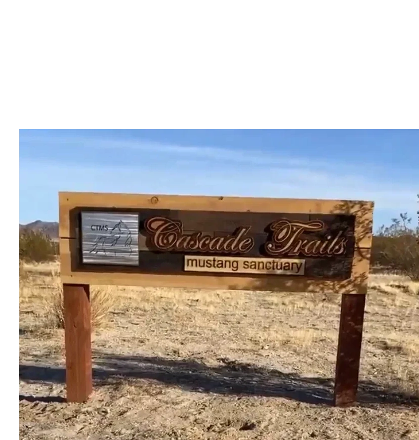 Cascade Trails Mustang Sanctuary Camping | Joshua Tree, CA