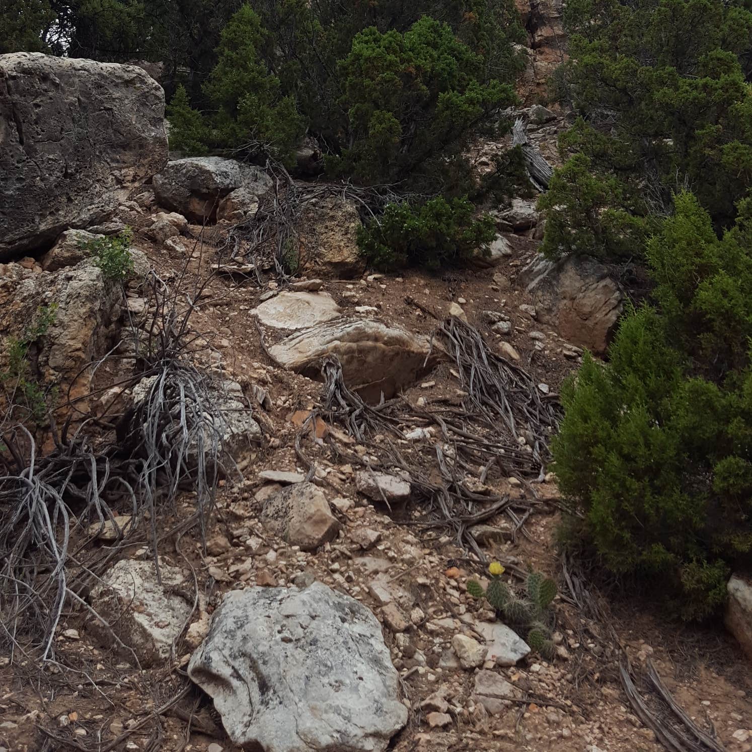 Leigh Creek Campground Camping | The Dyrt