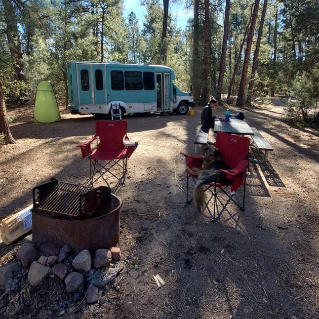 Timber Camp Recreation Area and Group Campgrounds | Globe, Arizona