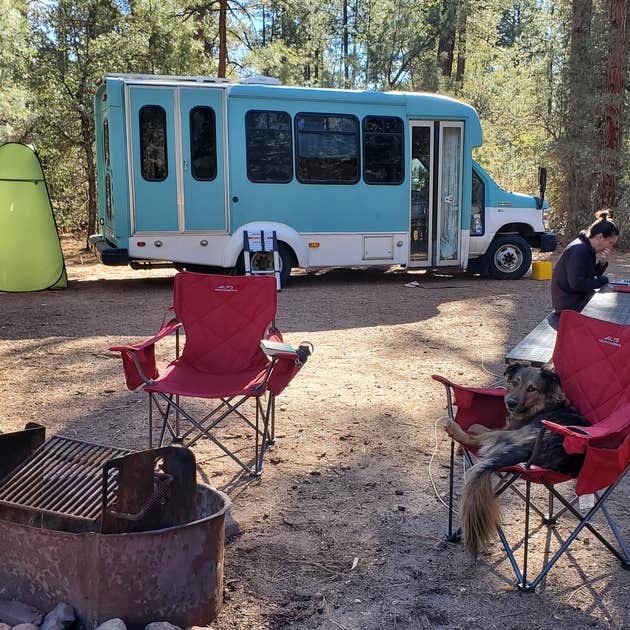 Timber Camp Recreation Area and Group Campgrounds | Globe, AZ
