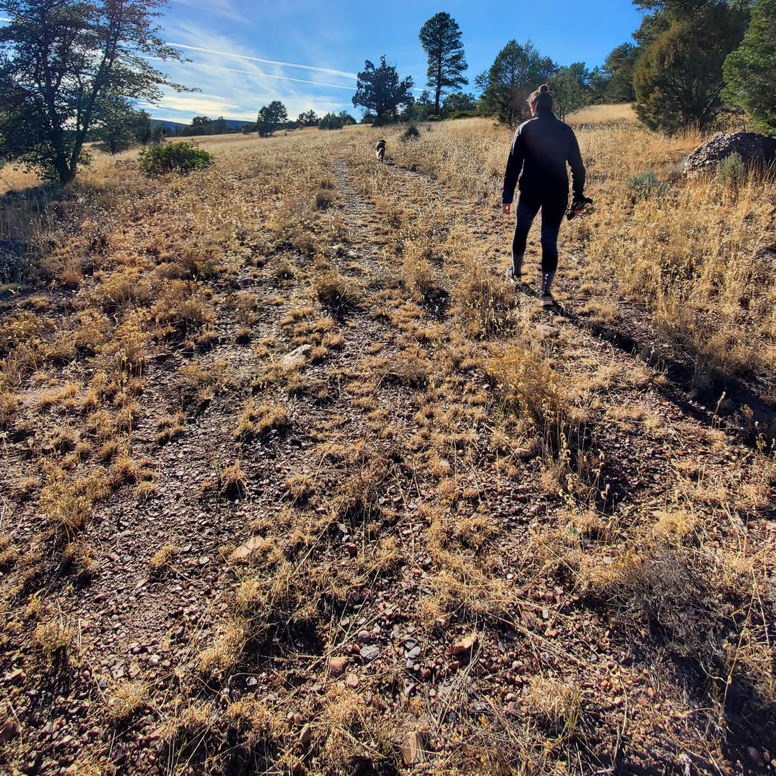 Timber Camp Recreation Area and Group Campgrounds | Globe, AZ