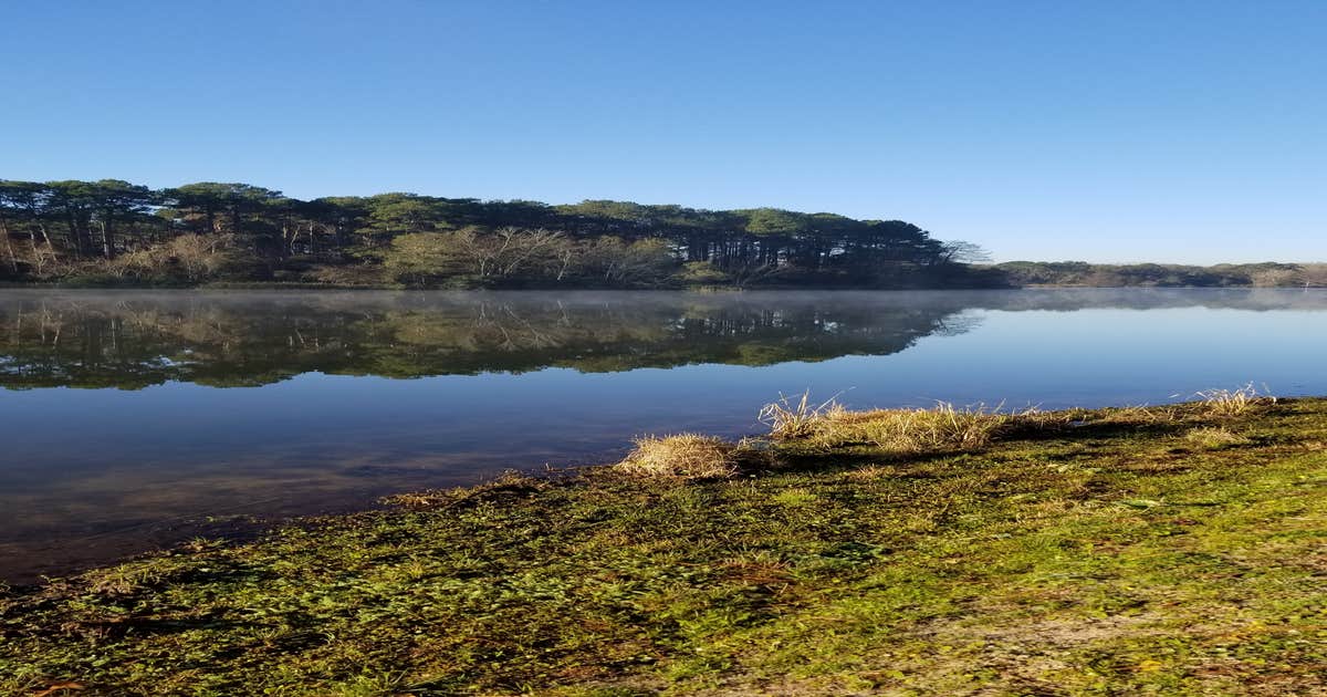 Georgia Veterans State Park Camping | The Dyrt