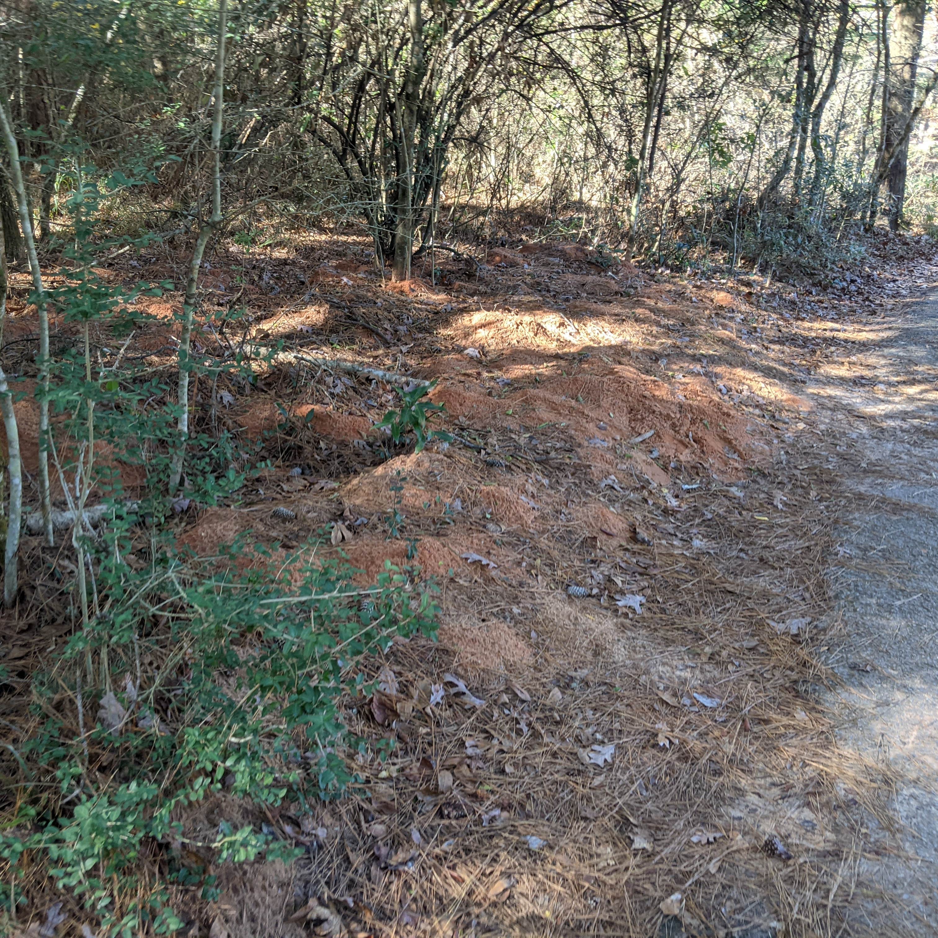 Double Lake Recreation Area Camping | Coldspring, Texas