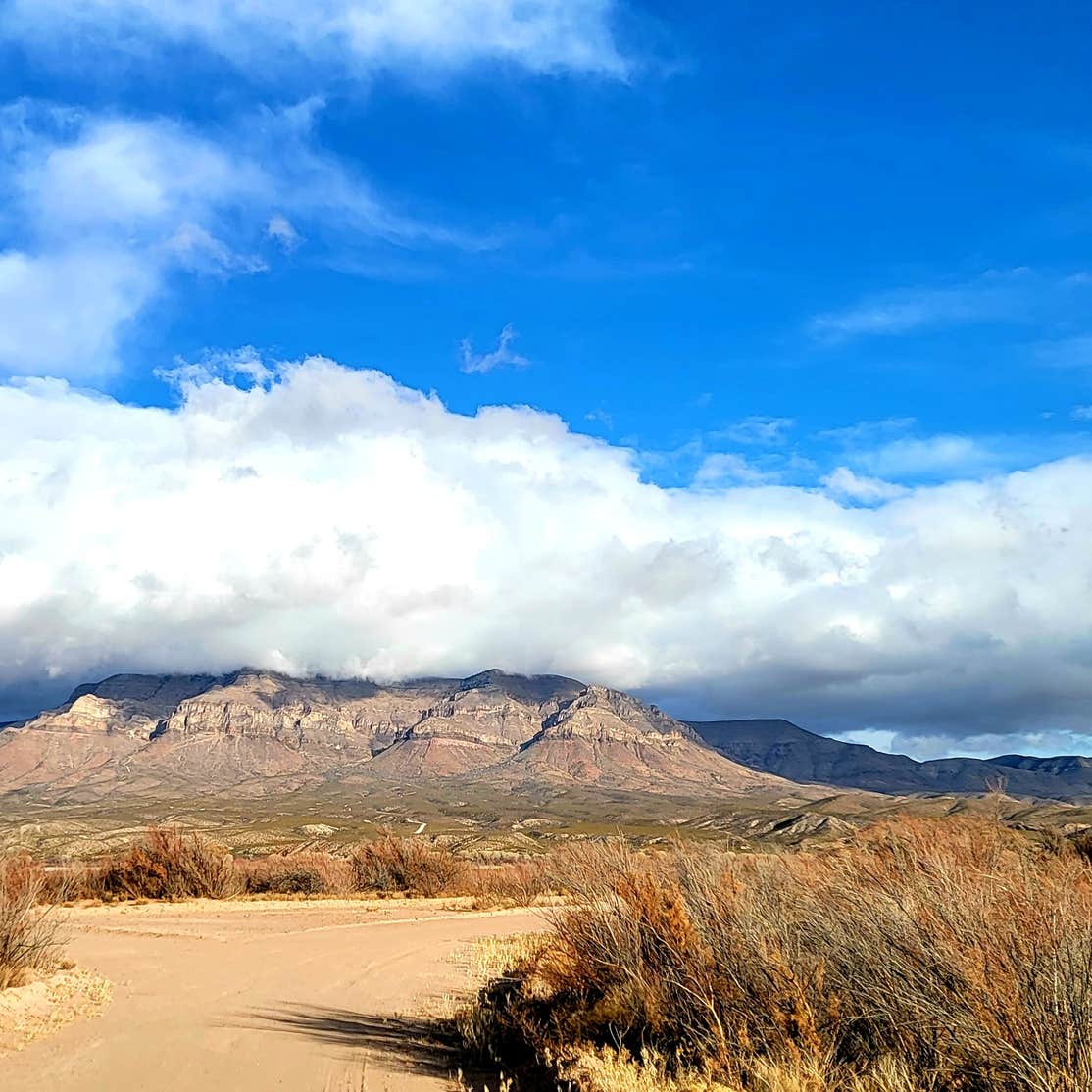 Palomino Campground — Caballo Lake State Park | Arrey, NM