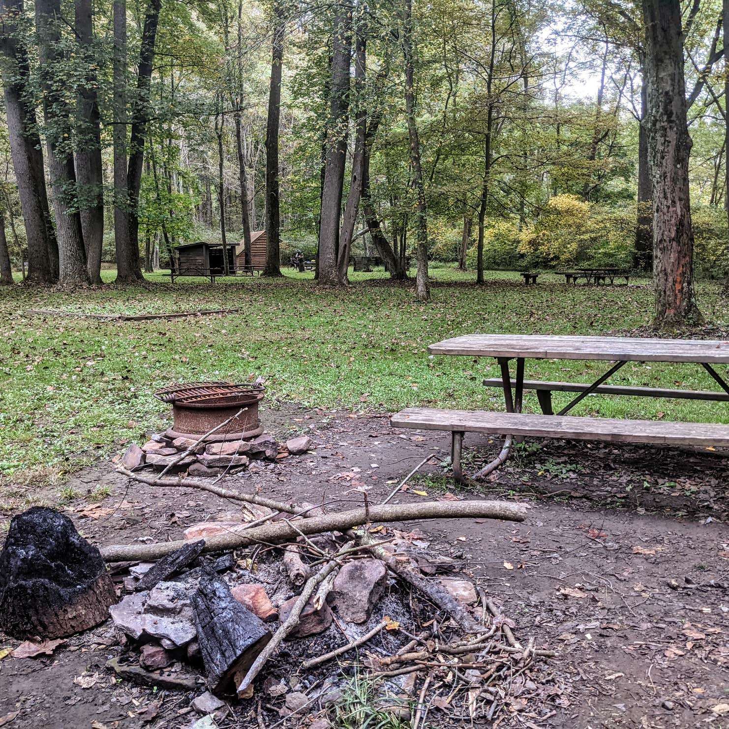 Roundbottom Hiker-Biker Campground (GAP Trail) | Perryopolis, Pennsylvania