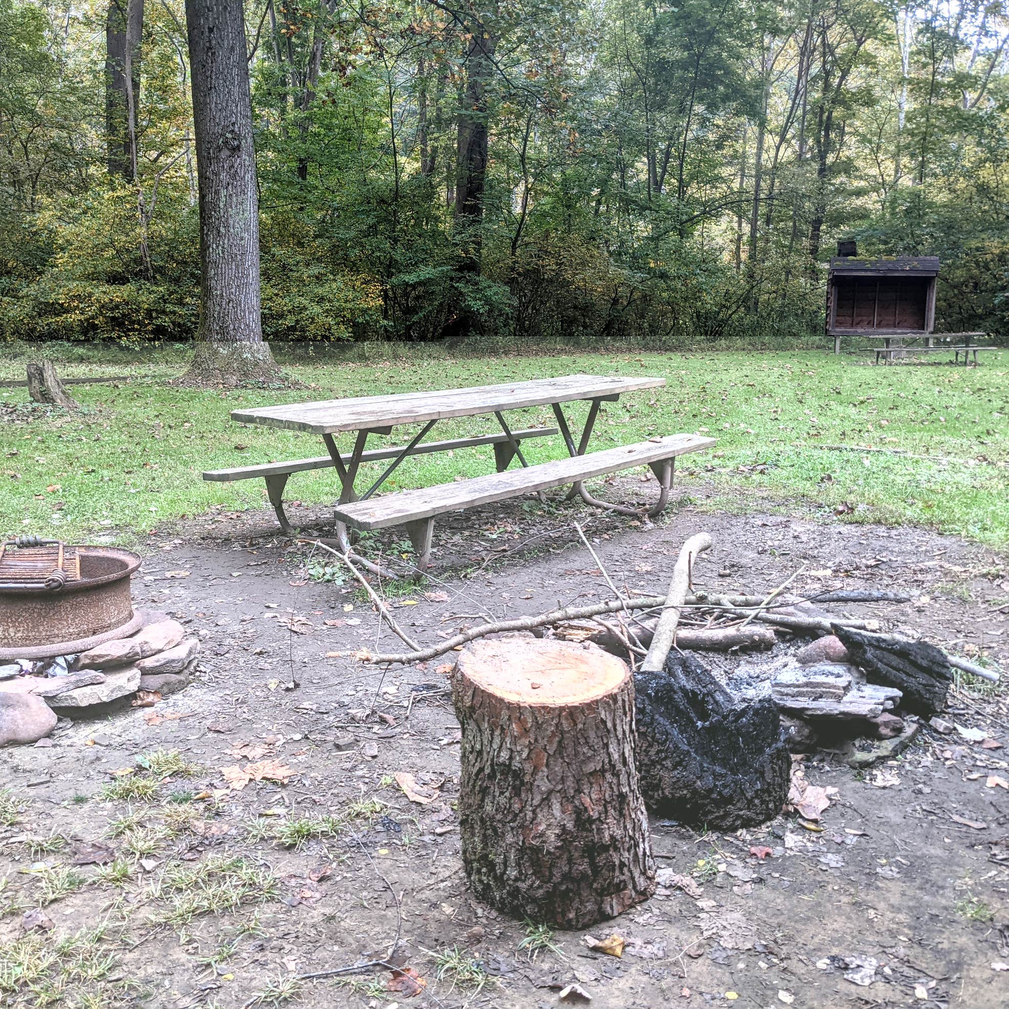 Roundbottom Hiker-Biker Campground (GAP Trail) Camping | The Dyrt