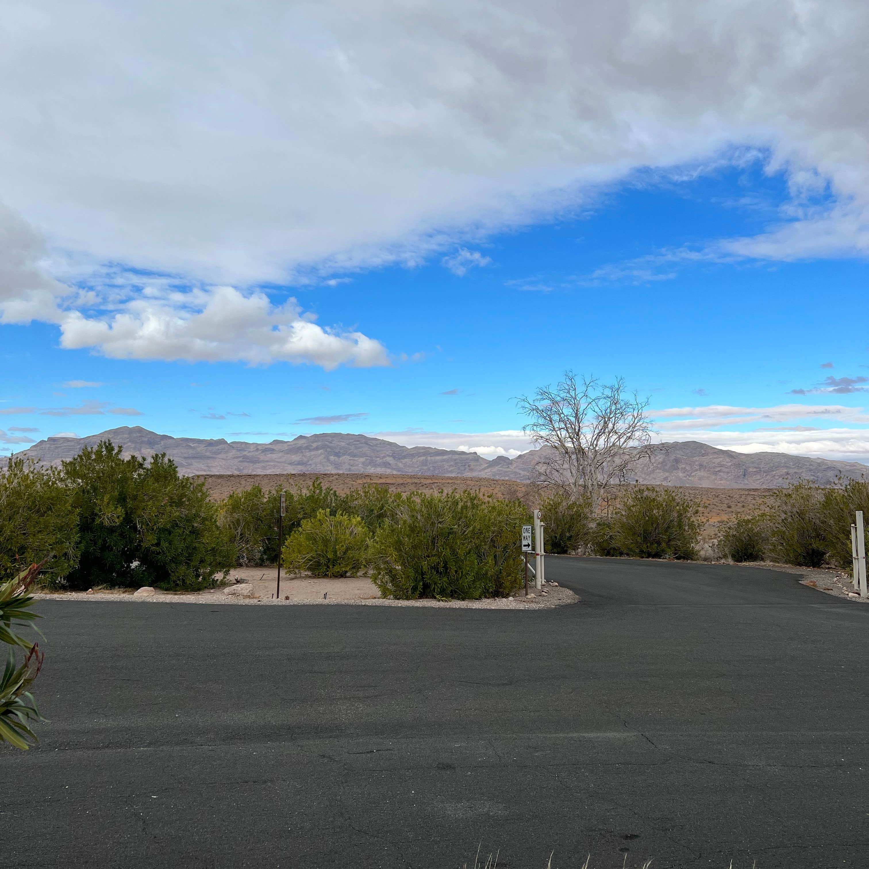 Echo Bay Lower Campground — Lake Mead National Recreation Area ...