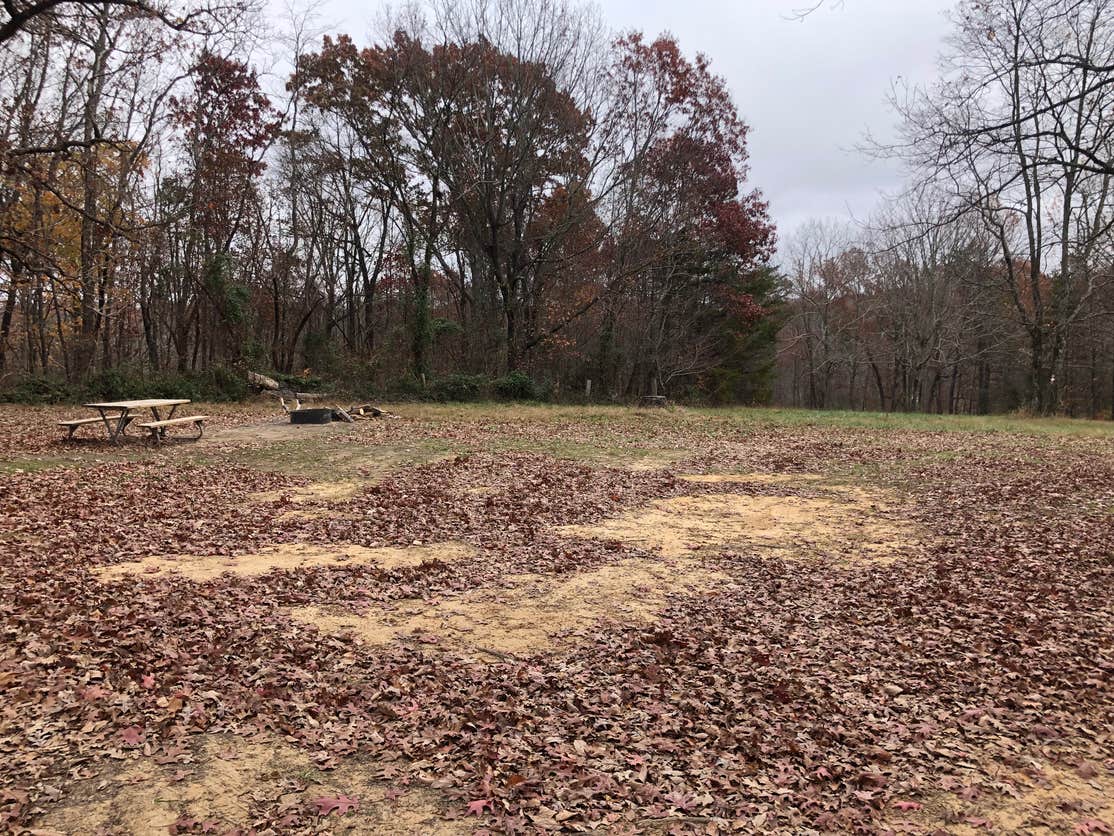 Sawmill Lake Campsite Camping | The Dyrt