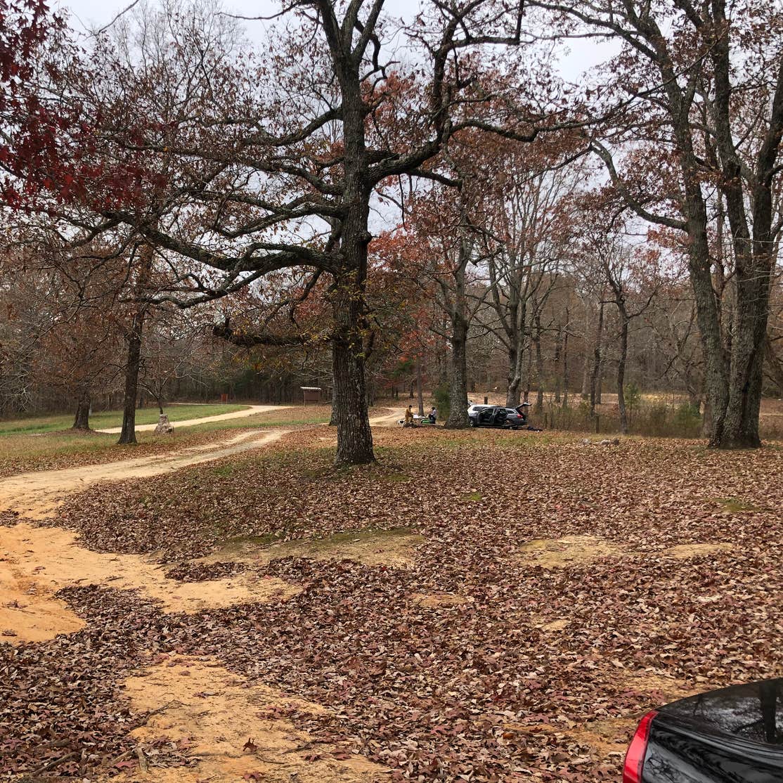 Sawmill Lake Campsite Camping | Bronco, GA | The Dyrt