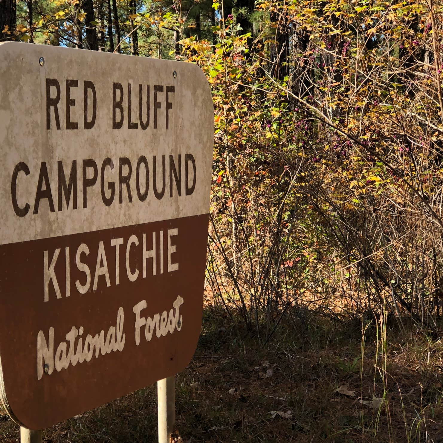 Red Bluff Camp | Provencal, Louisiana