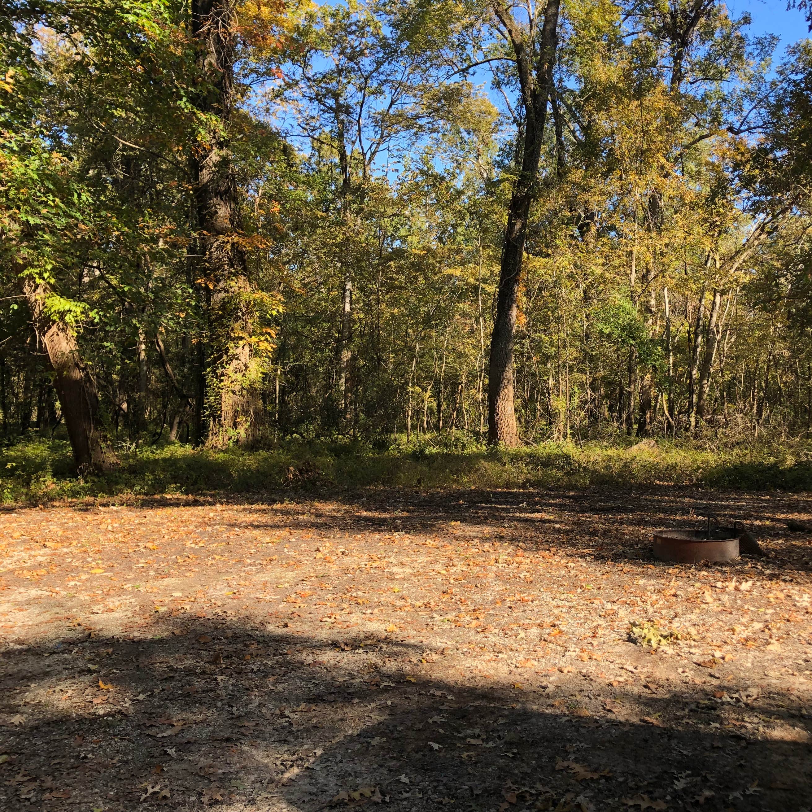 Delta National Forest Site 45/45A Camping | Rolling Fork, Mississippi