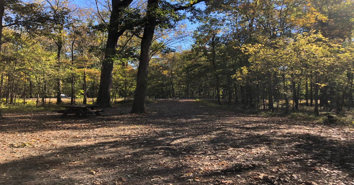 Delta National Forest Site 45/45A Camping | Rolling Fork, MS