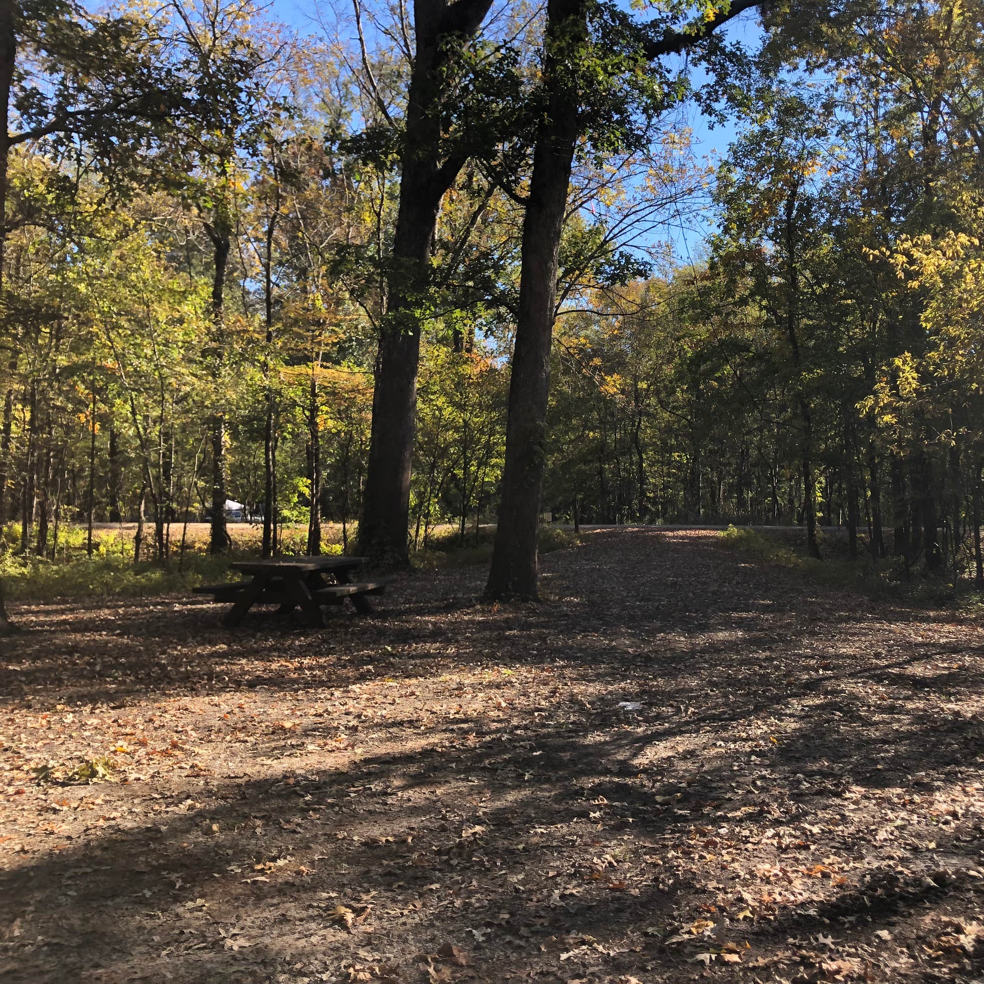 Delta National Forest Site 45/45A Camping | Rolling Fork, Mississippi