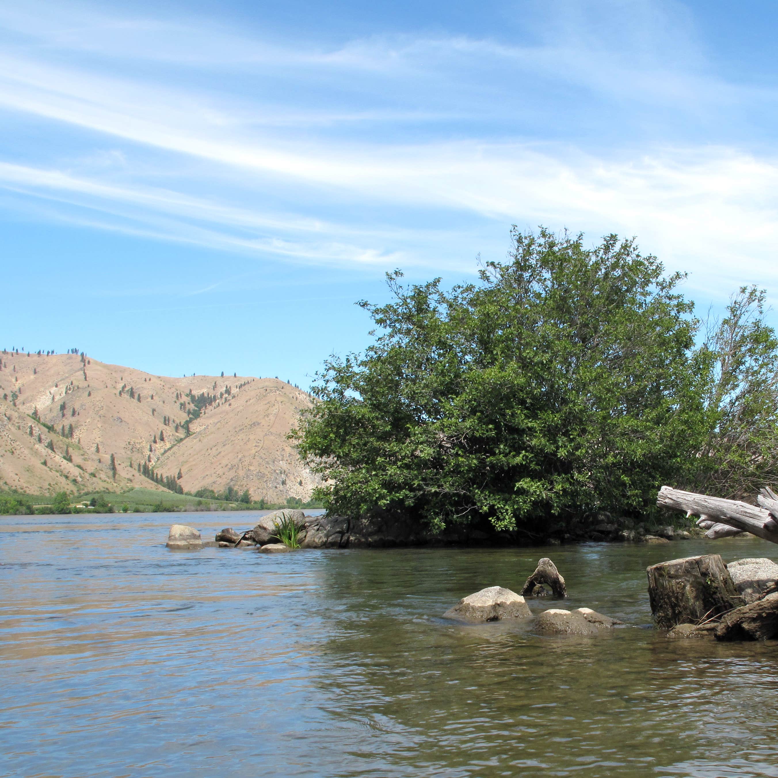 Daroga State Park Campground | Entiat, Washington