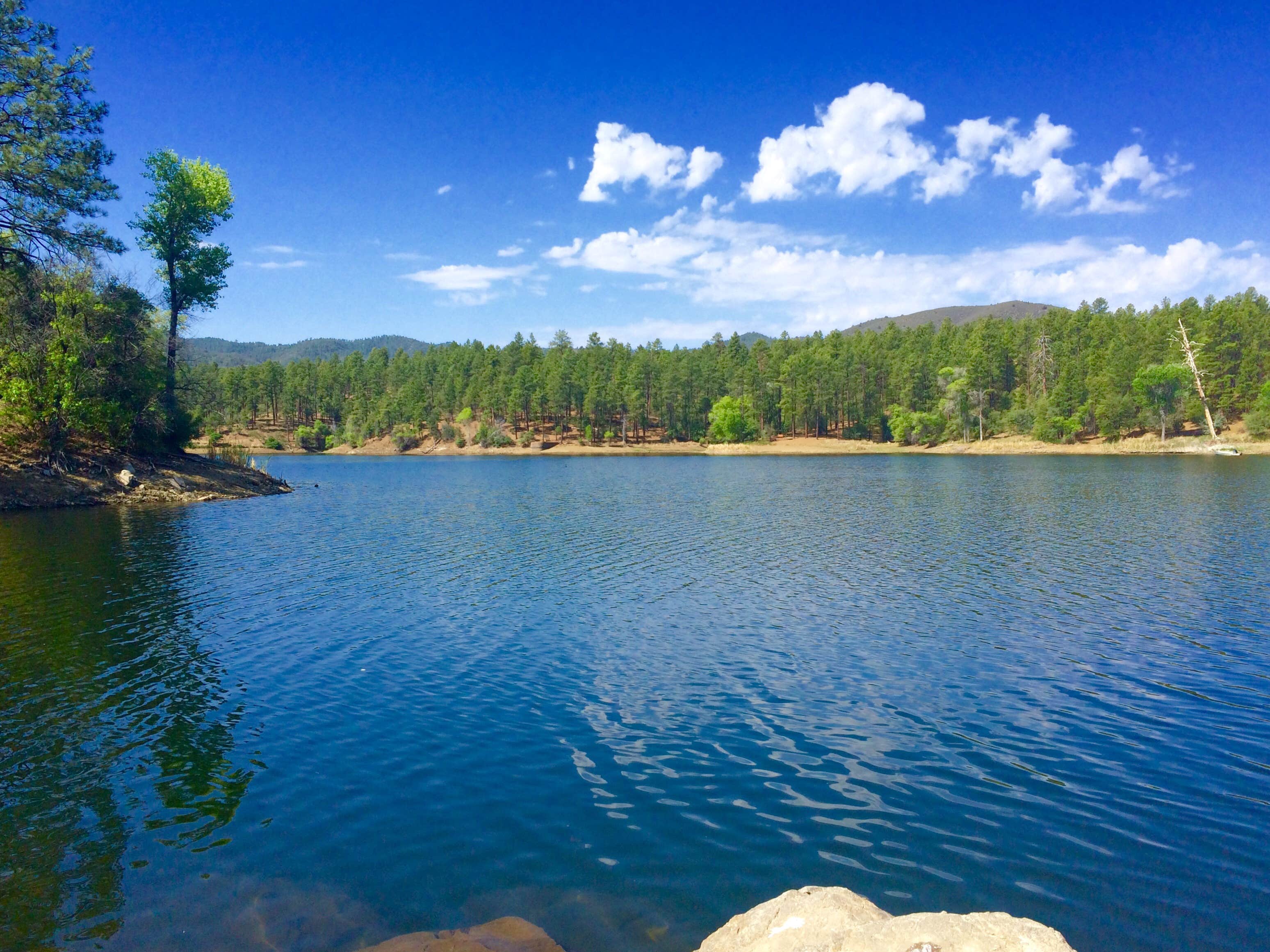 Lynx Lake Campground | Prescott, AZ