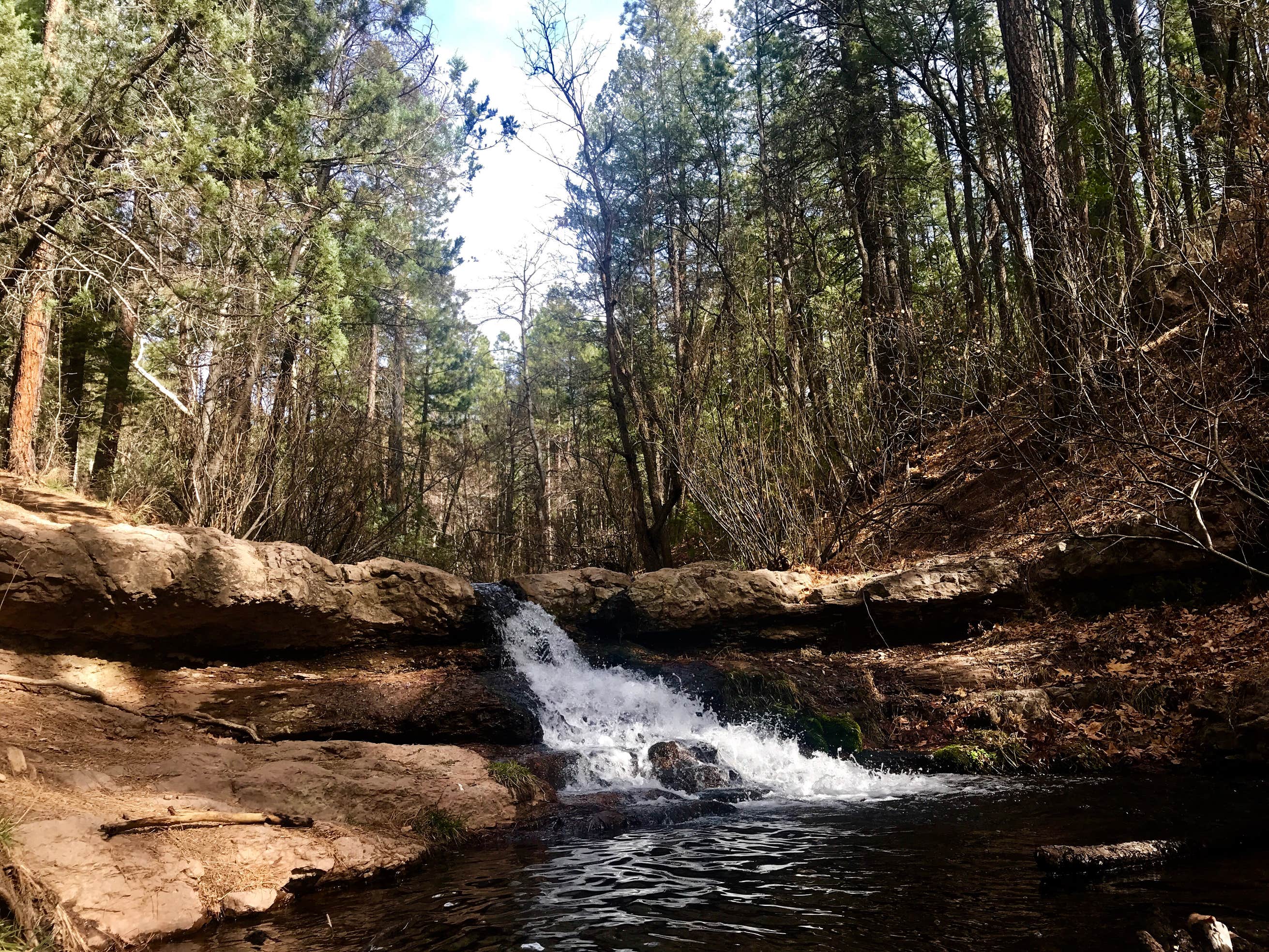 Payson Campground & RV Resort Camping | The Dyrt