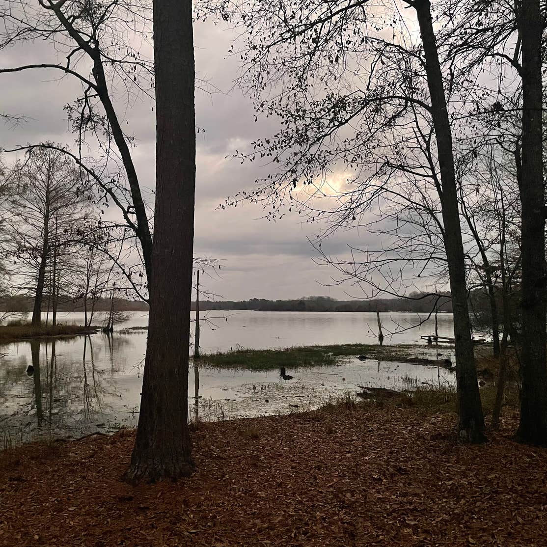 Blue Bluff Campground (aberdeen Ms) | Amory, Mississippi